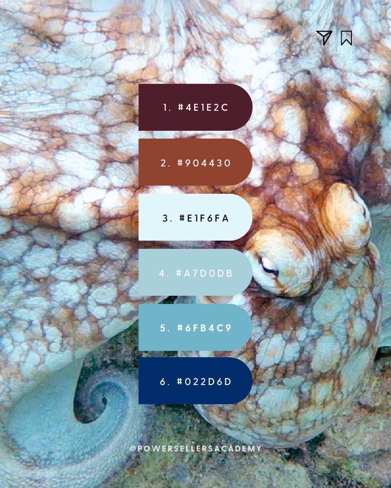 Surface Pattern Design | Icy Blue Ocean-Inspired Color Palette
