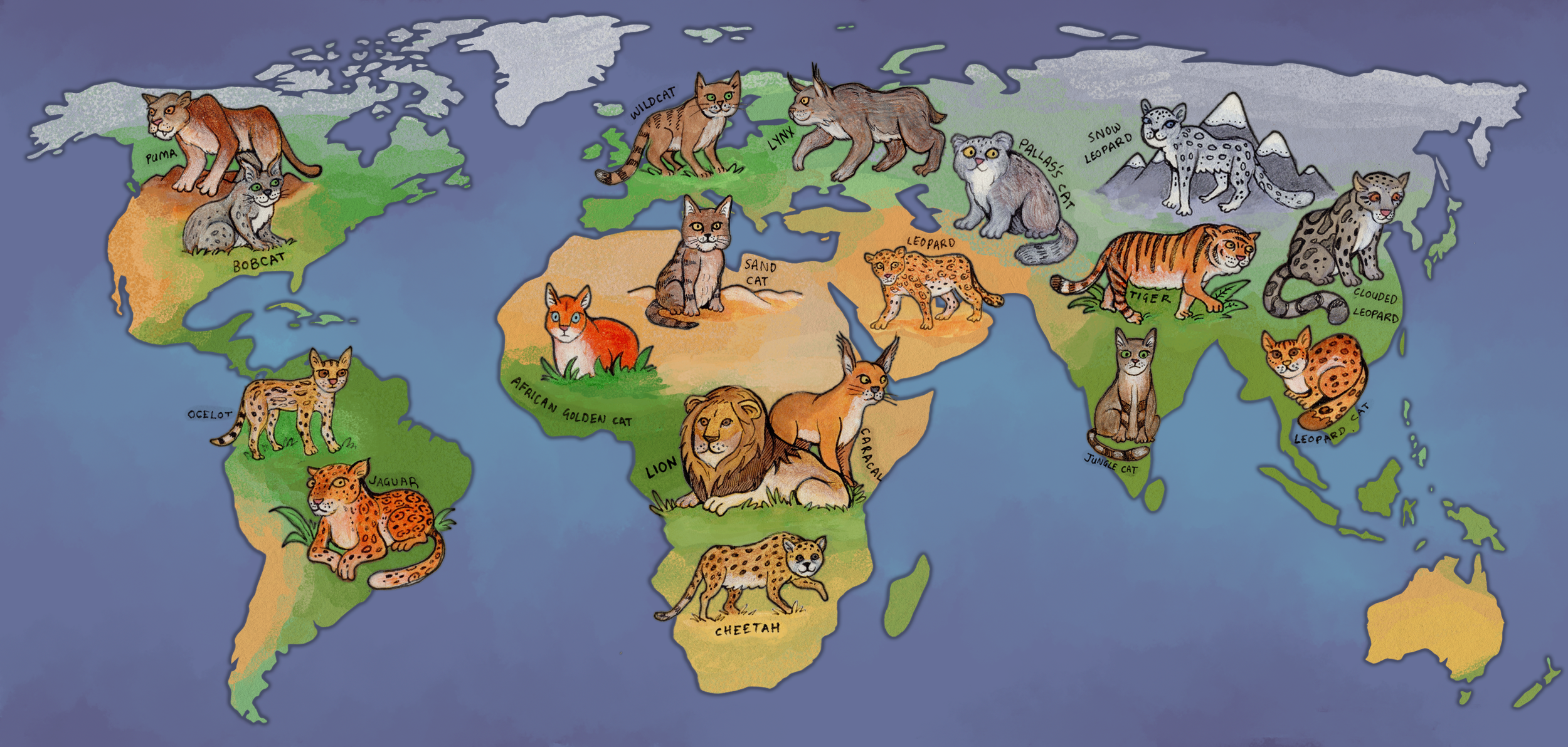 Animal Illustrations — Samuel Hayward