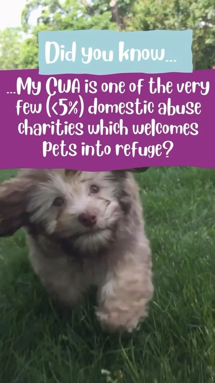 Contact | My CWA, Cheshire