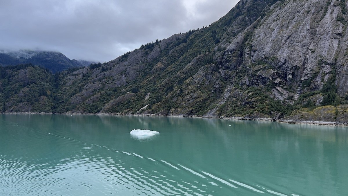 Day 4 - Endicott Arm/Dawes Glacier and Juneau, Alaska on Discovery ...