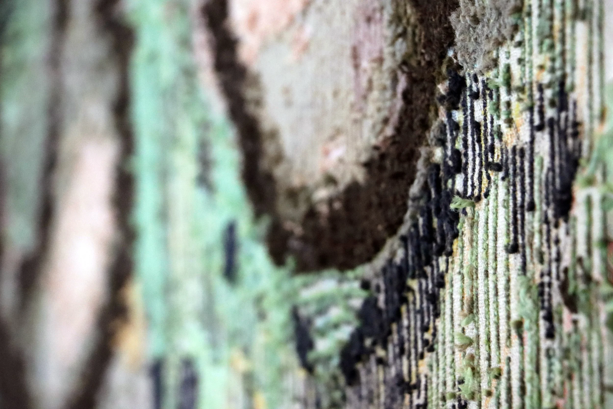 Pays'Âges - Laïta River | Dorian Étienne • Design Studio