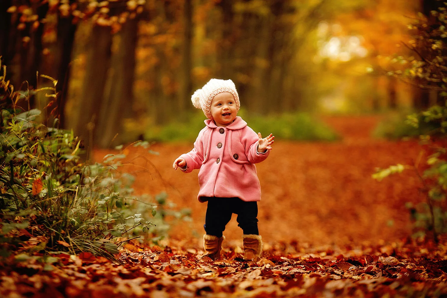 Best Autumn leaves near Stamford - Family photoshoots - Wedding and ...