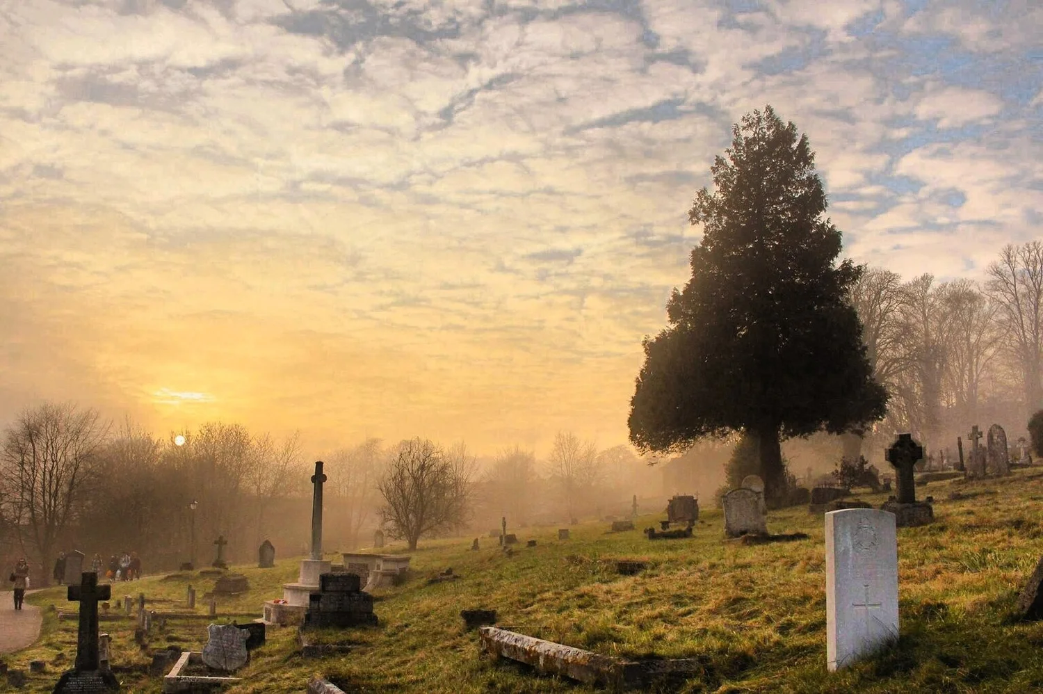 Video Worksheet | The World's Weirdest Cemeteries — ESL Teachers Studio ...
