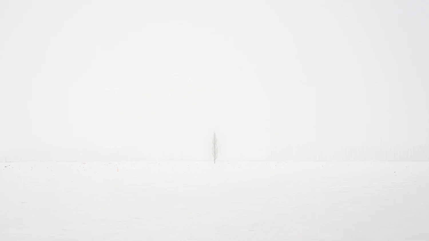 ESL Lesson Plans for Adults | In English With Love