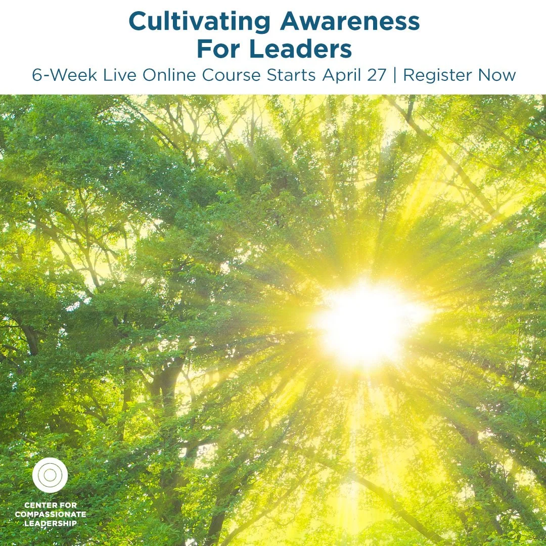 Center for Compassionate Leadership