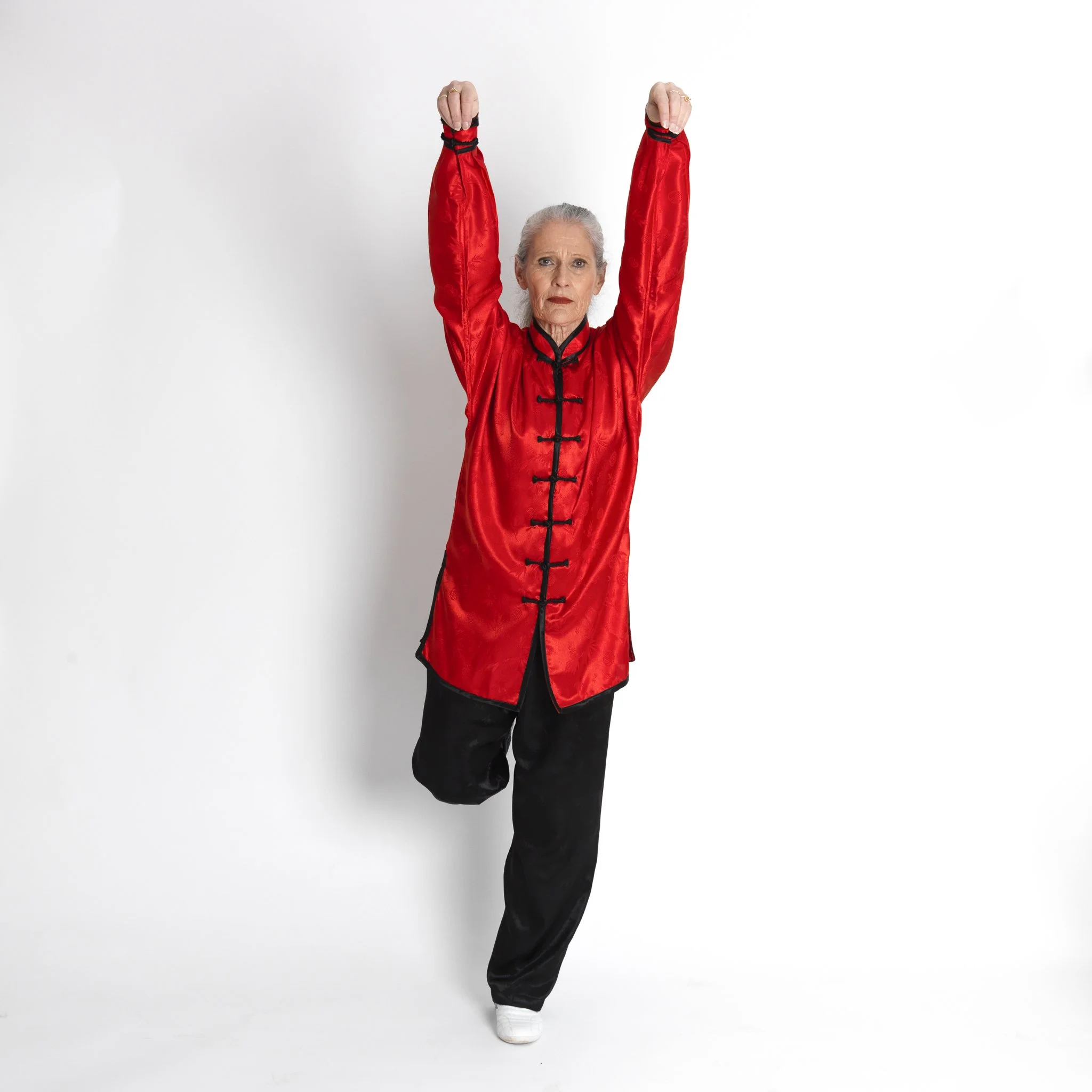 Daoyin Yangsheng Gong Shi Er Fa — Rising Moon Tai Chi