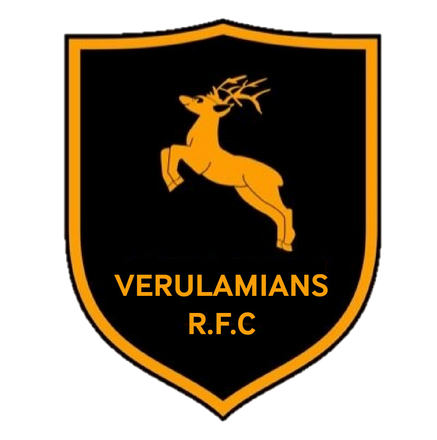 Verulamians RFC | St. Albans Grassroots Rugby Club