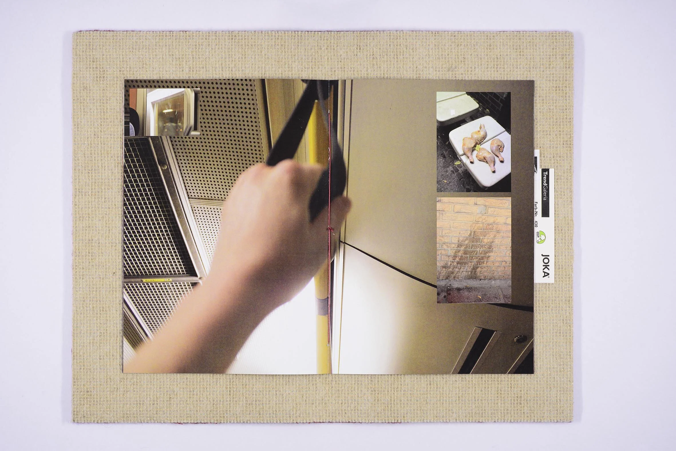 disobedient (book) — Susanne Schmitt