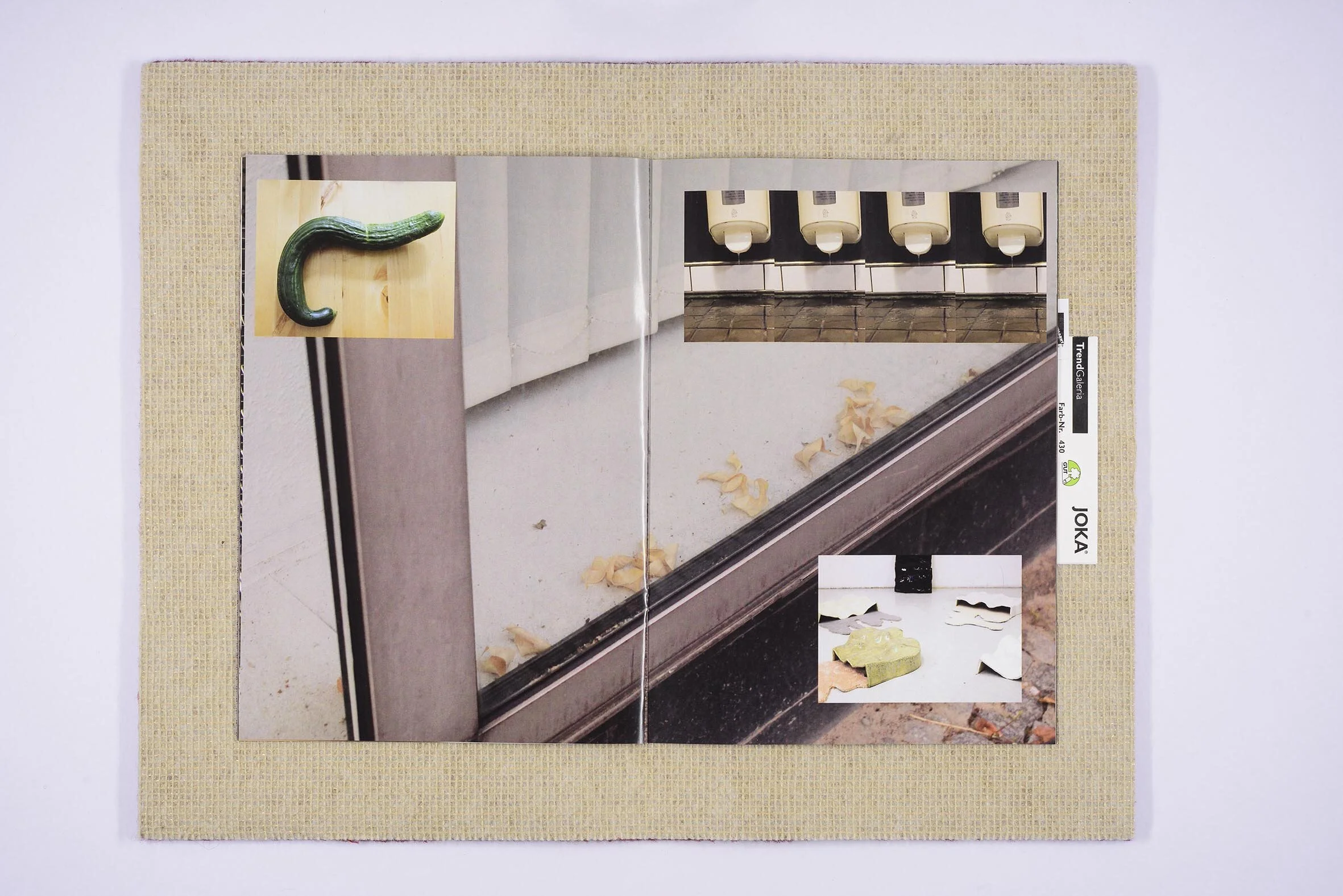 disobedient (book) — Susanne Schmitt