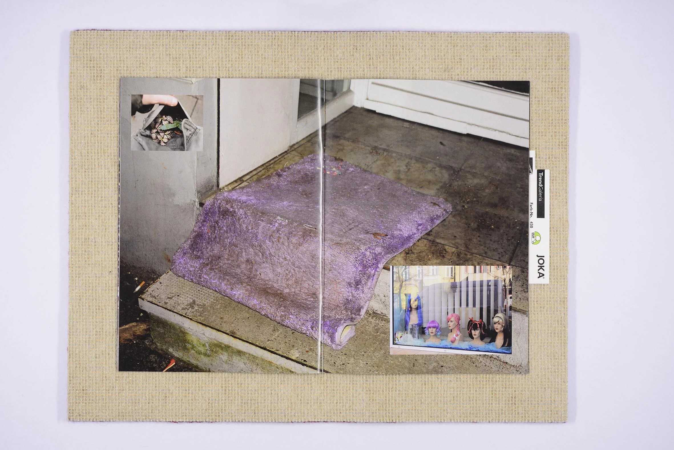 disobedient (book) — Susanne Schmitt