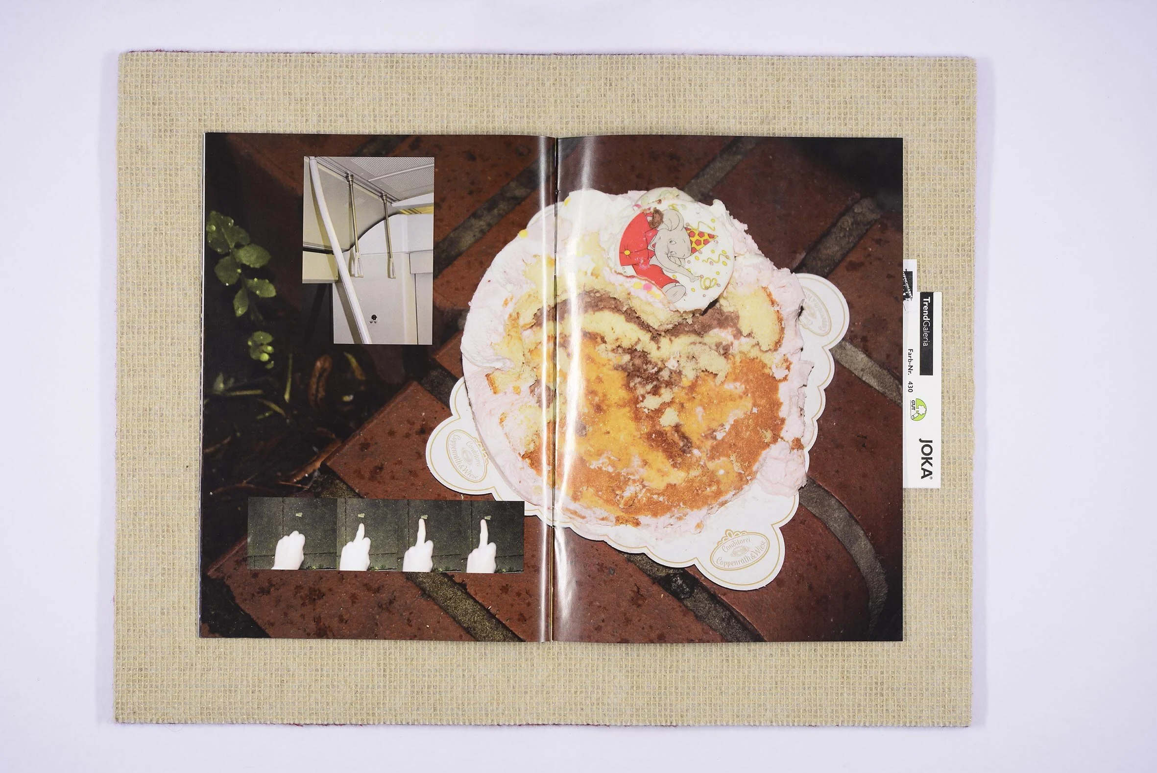 disobedient (book) — Susanne Schmitt