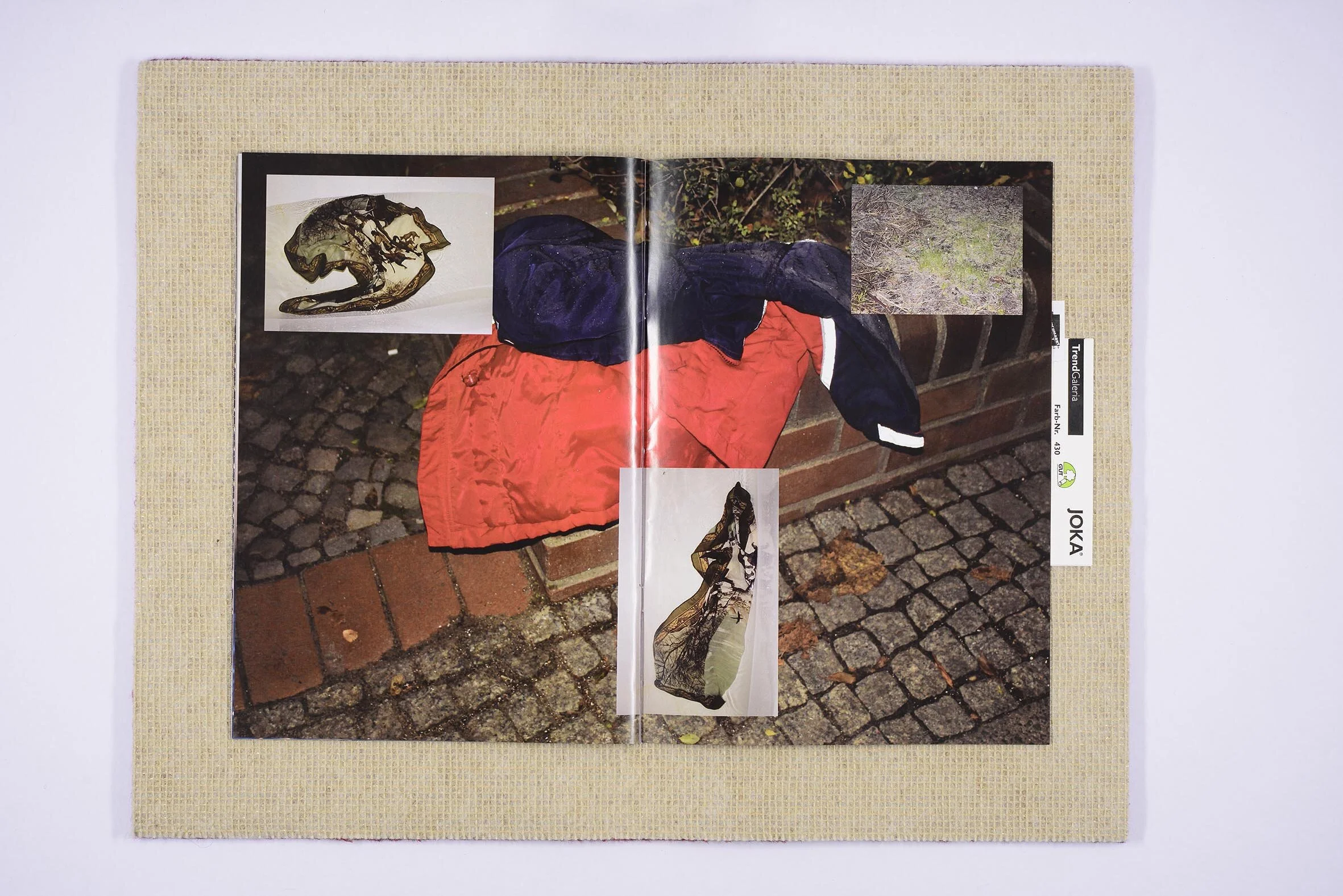 disobedient (book) — Susanne Schmitt