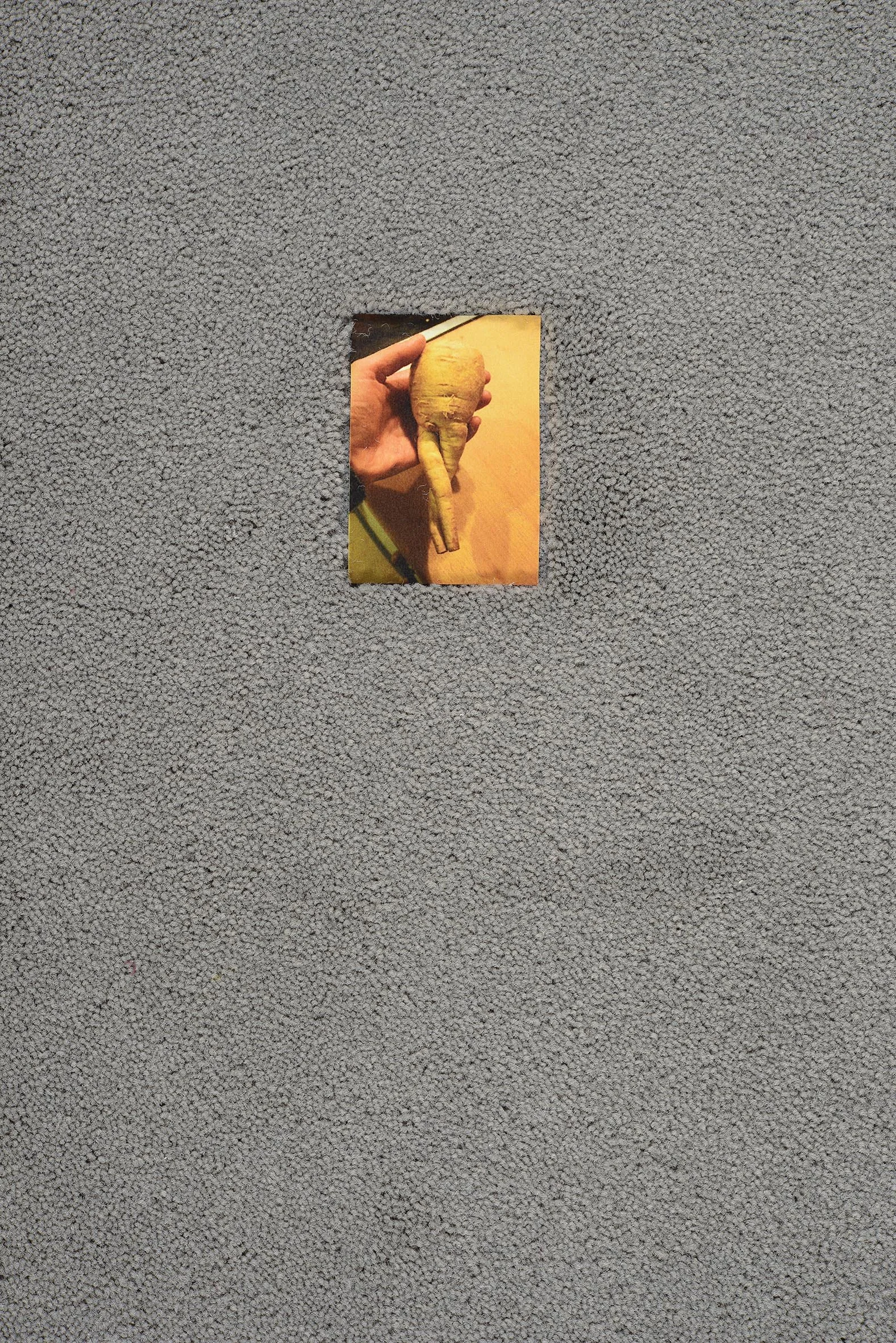 disobedient (book) — Susanne Schmitt