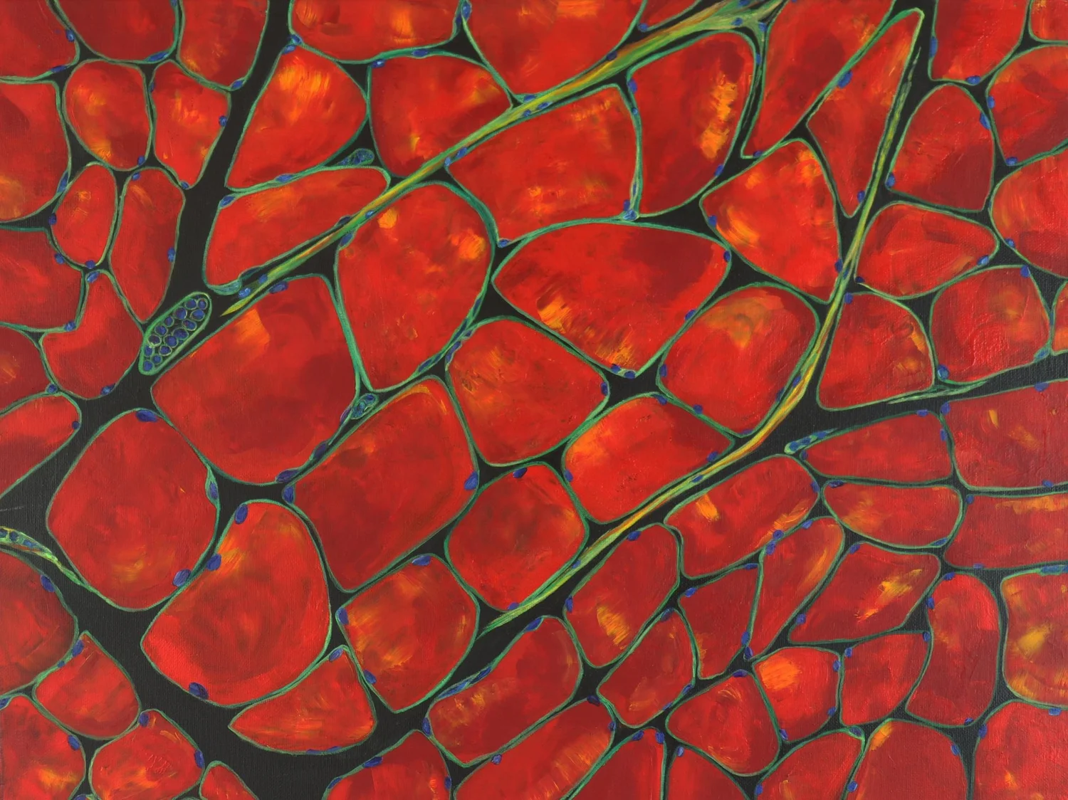 Muscle Fiber Texture