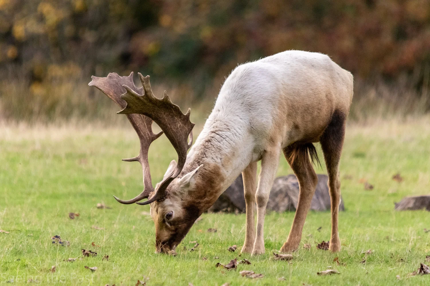 Knole; "the romantic embodiment of a bygone age". — Seeing the past