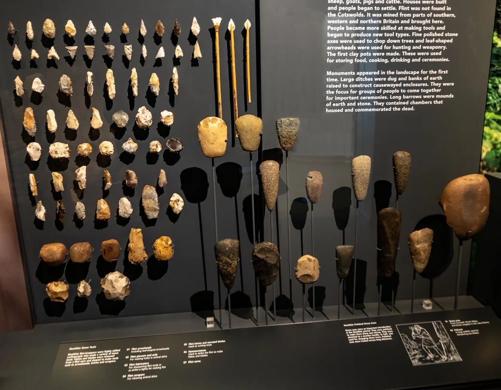 Bones, stones , pots and relics, one of the best museums to get close ...