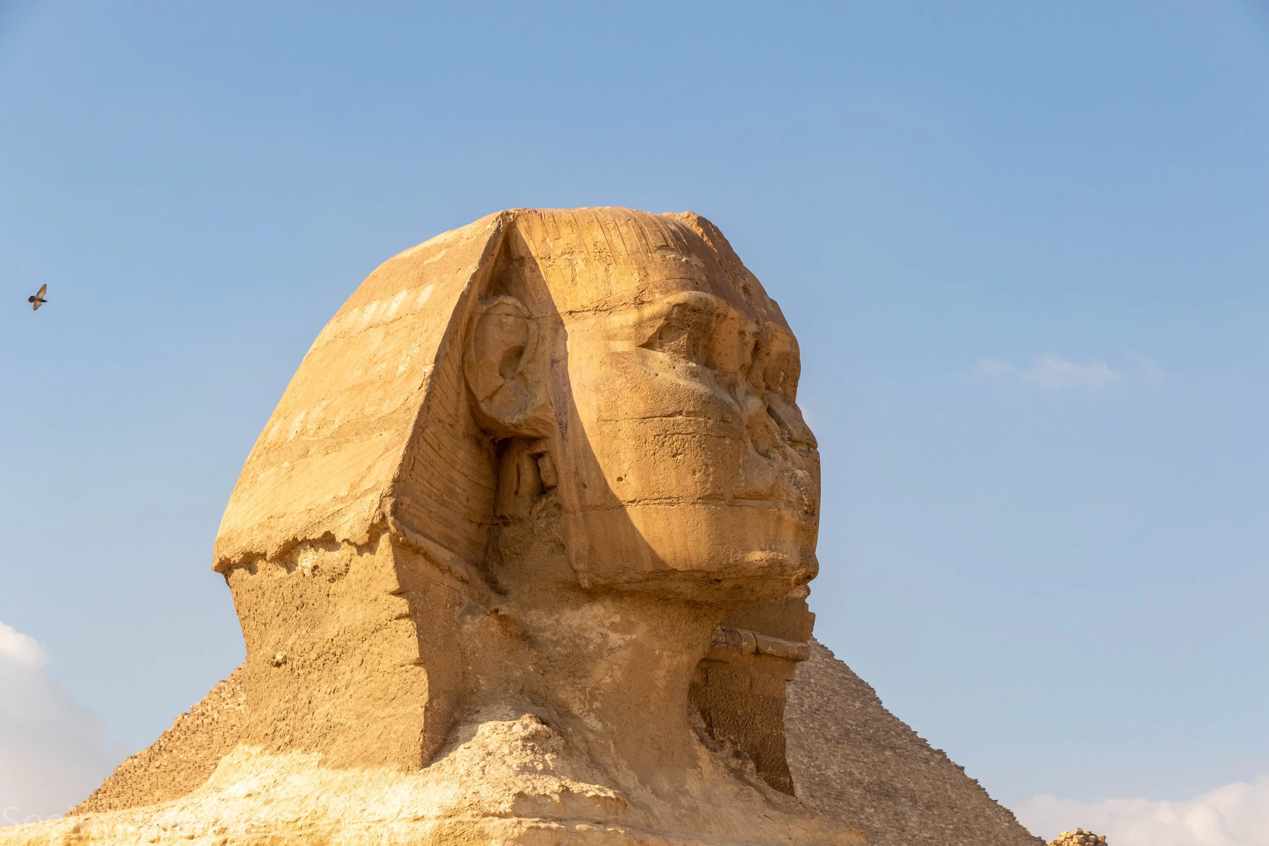 The Great Sphinx; built by Djedefre or Khafre? Plus intrigue, murder ...