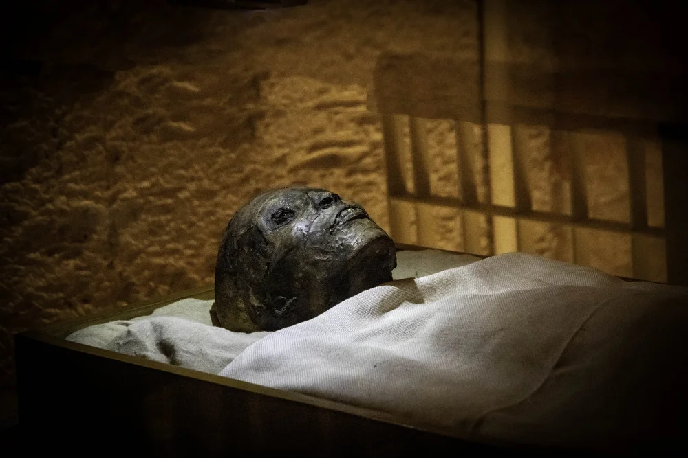 Discover the story of Tutankhamen through objects, tomb paintings ...