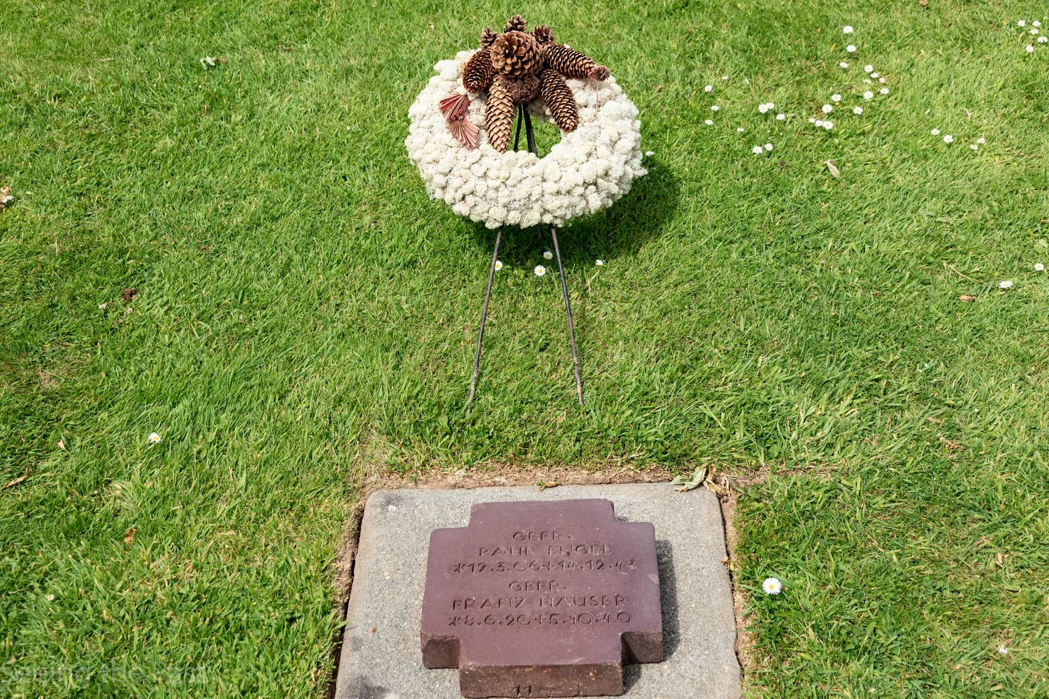 The D day series. Honouring sacrifice; A Journey through the Graves of ...