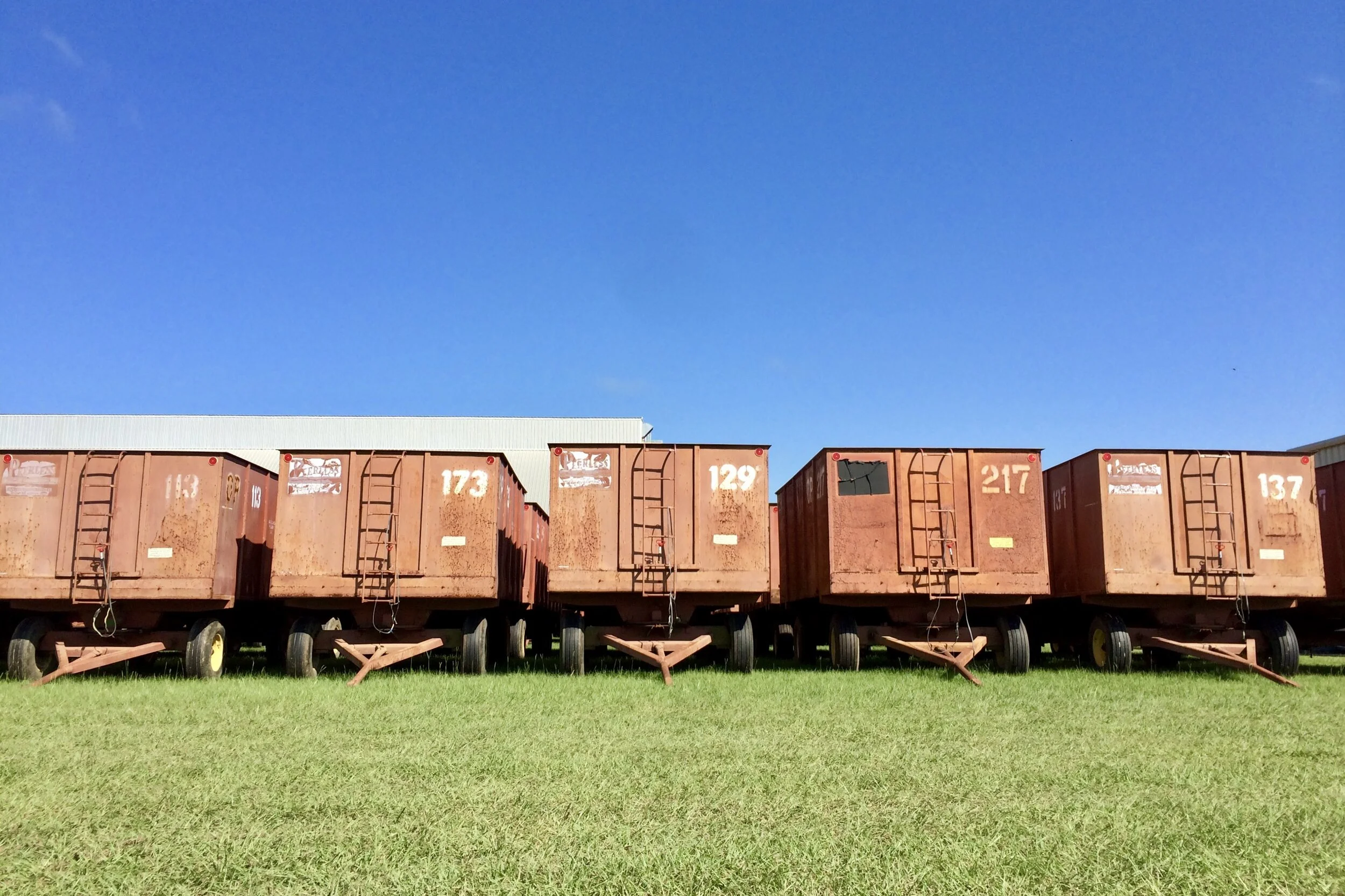 Grow for GOPA — Georgia Organic Peanut Association