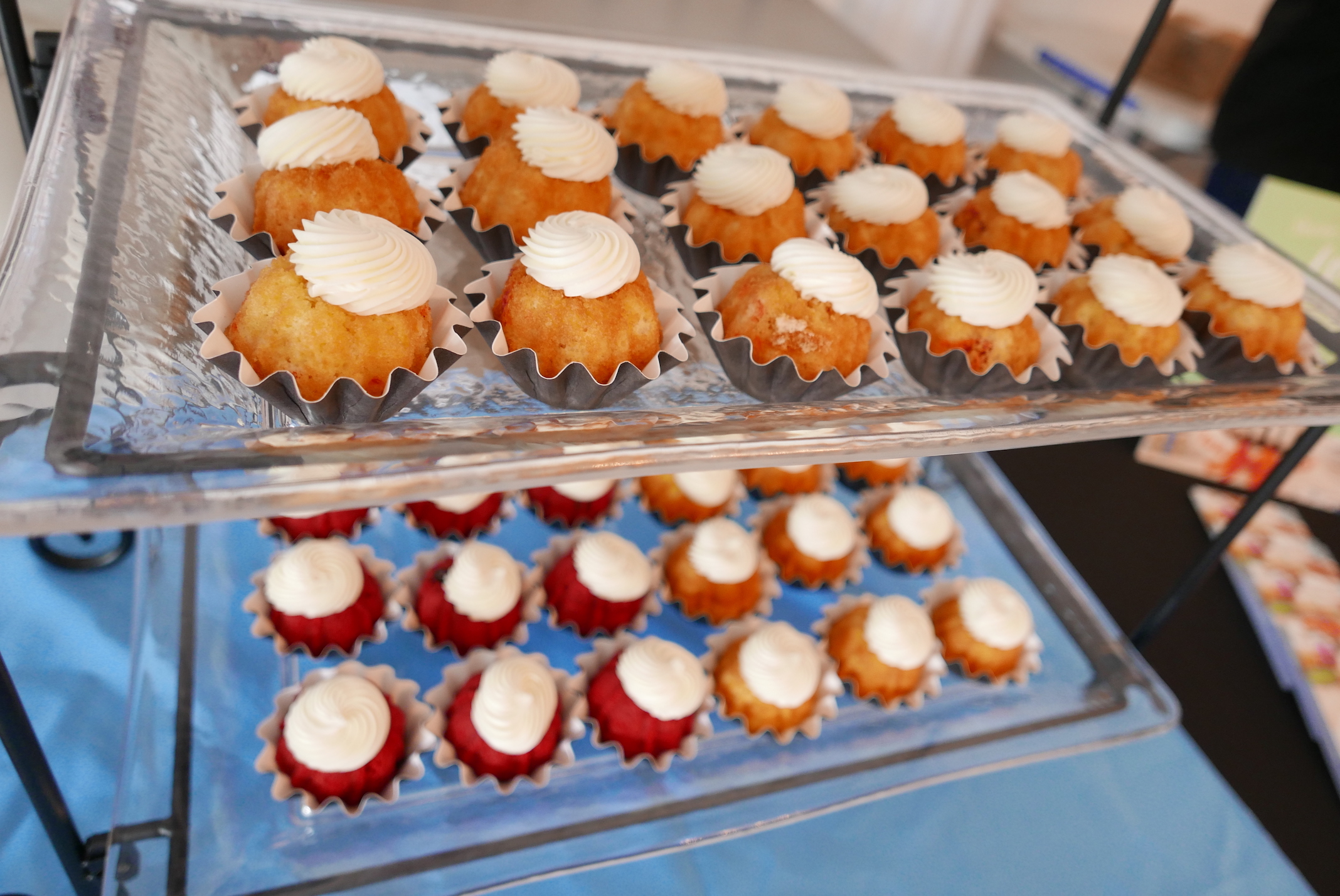 Taste — Kidney Foundation of Greater Chattanooga