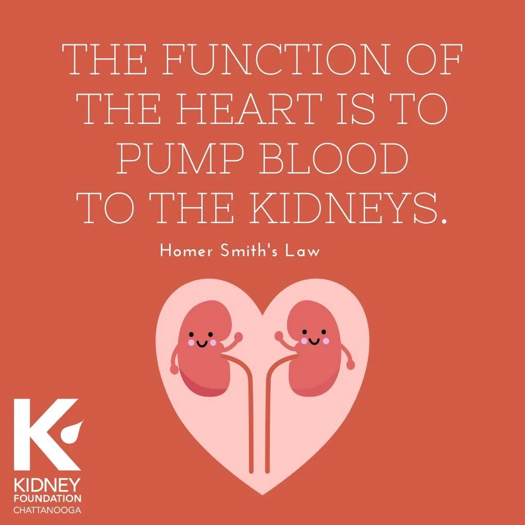 About Us — Kidney Foundation of Greater Chattanooga