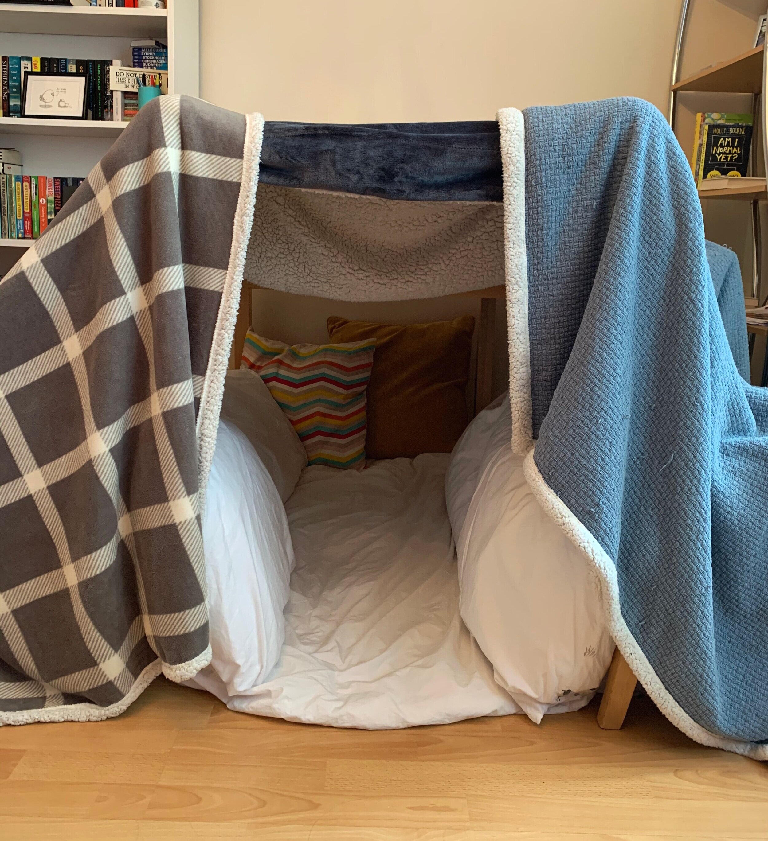 How To Make A Pillow Fort Julia s Bookcase