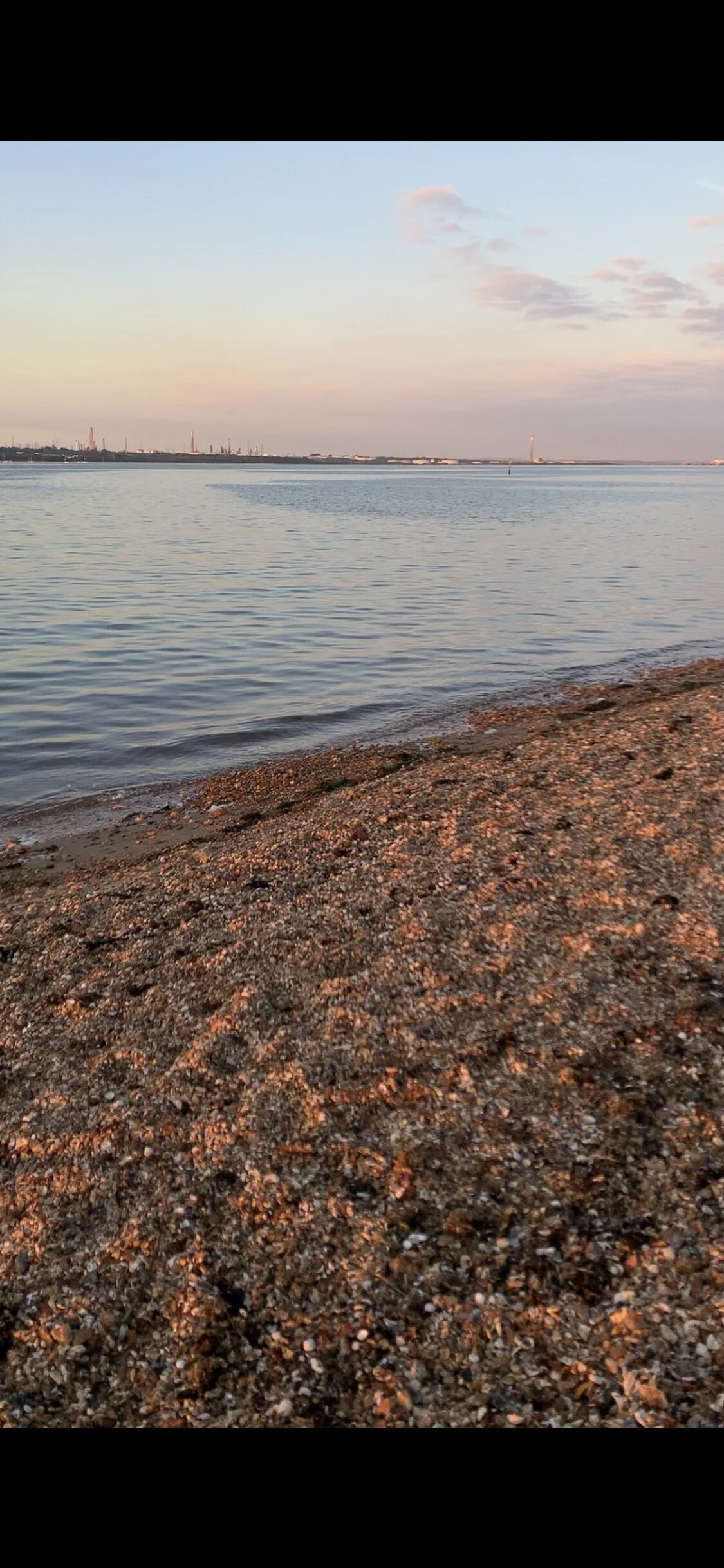 Southampton’s Secret Beach: Weston Shore — Julia's Bookcase