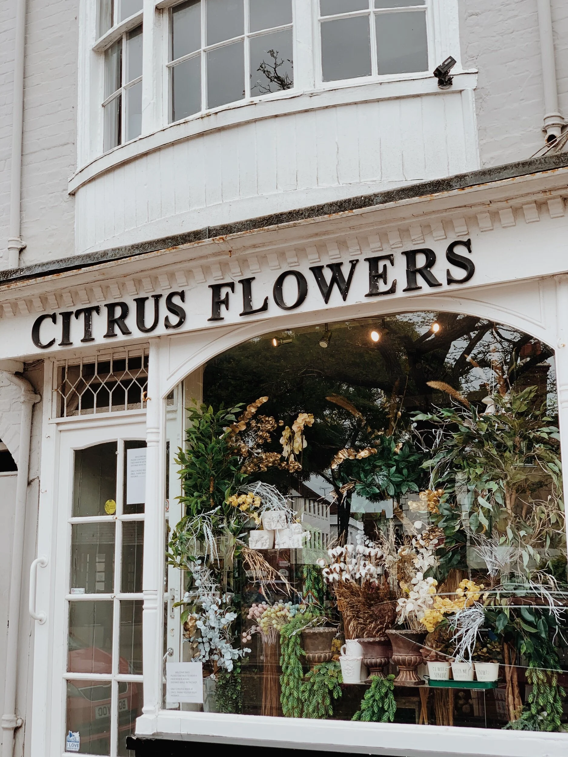 11 Places to Visit in Emsworth — Julia's Bookcase