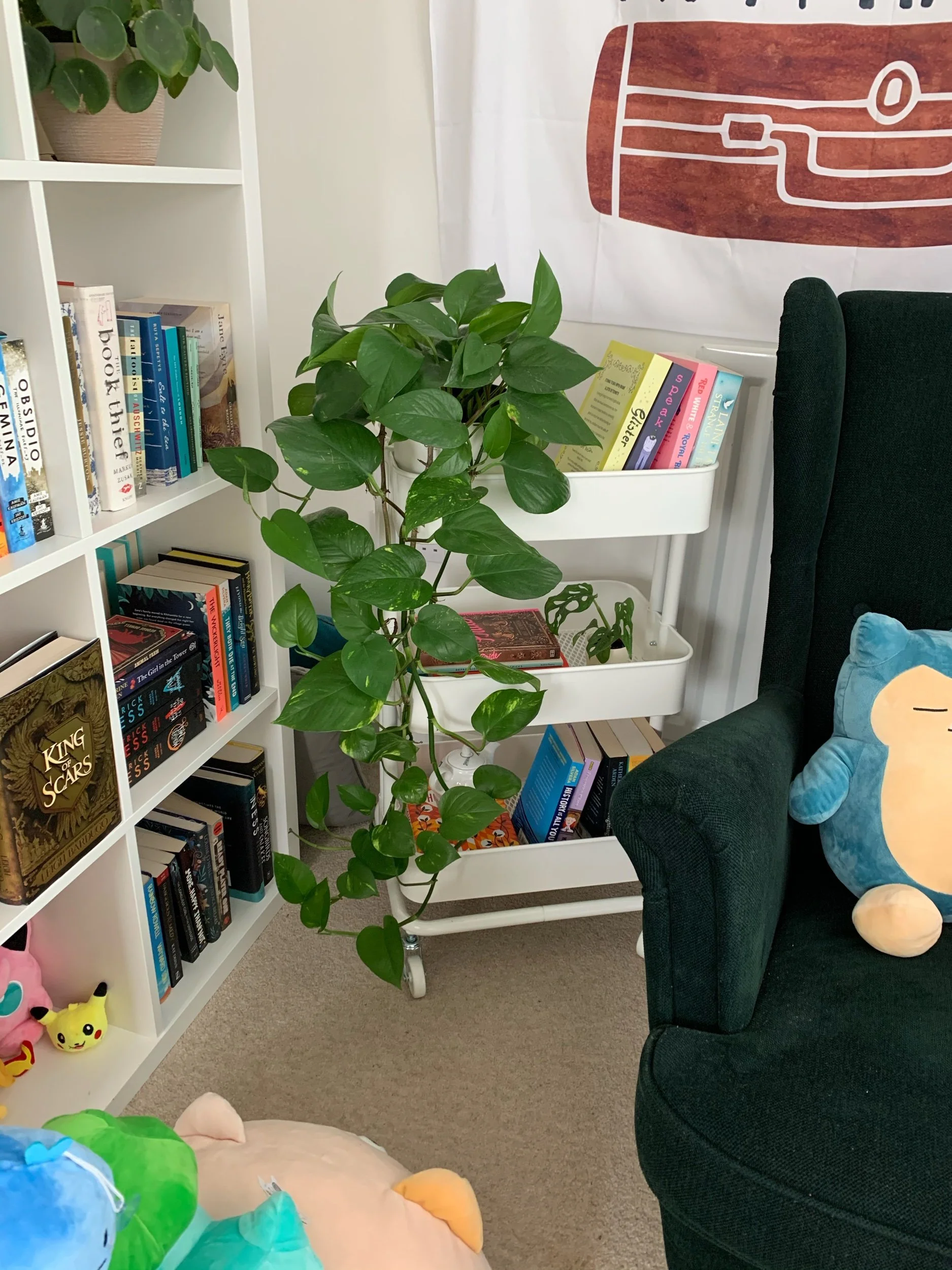 Review: Should I Buy From Patch Plants? — Julia's Bookcase
