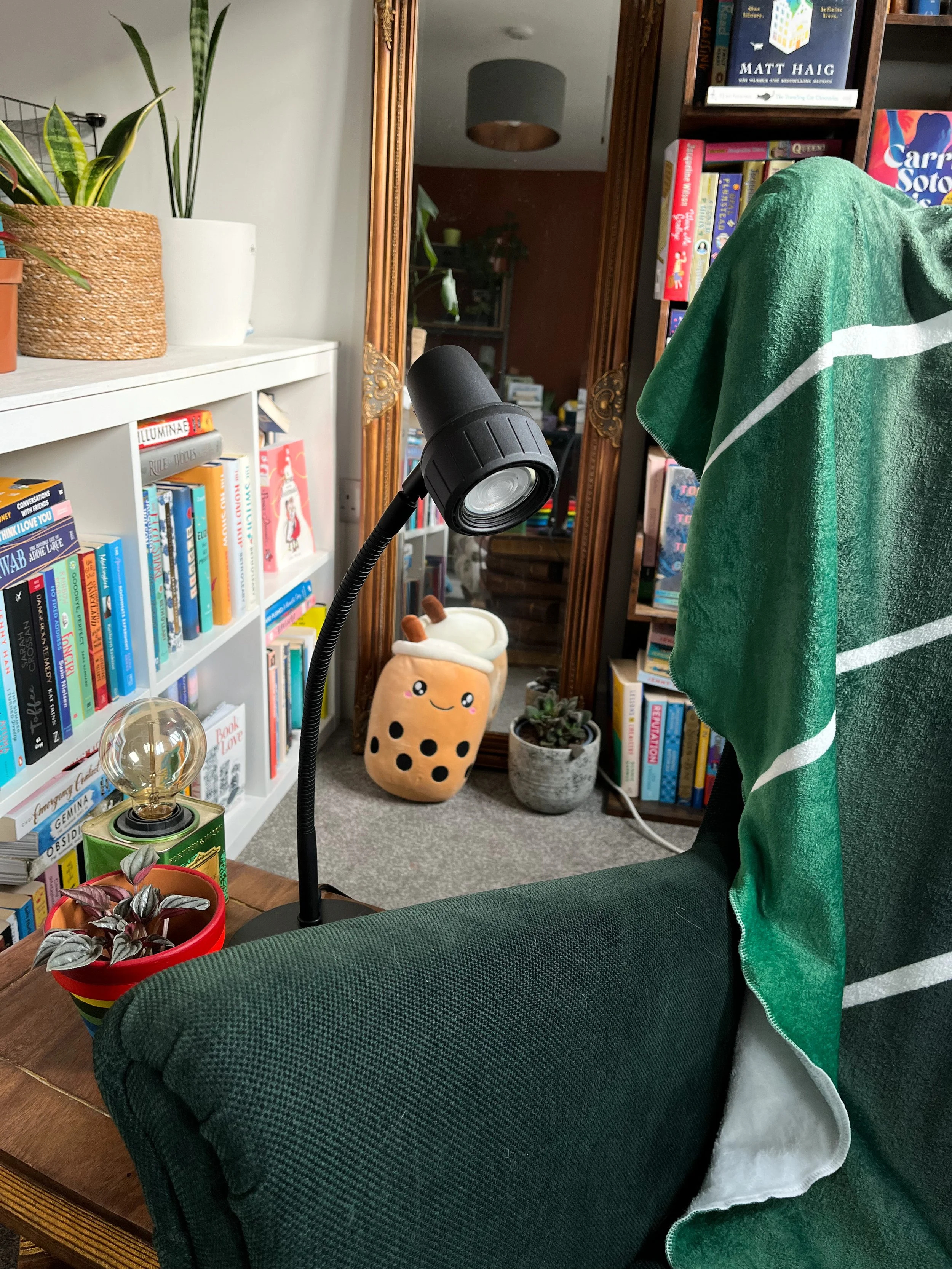 Why are Serious Readers’ Lights so expensive? — Julia's Bookcase