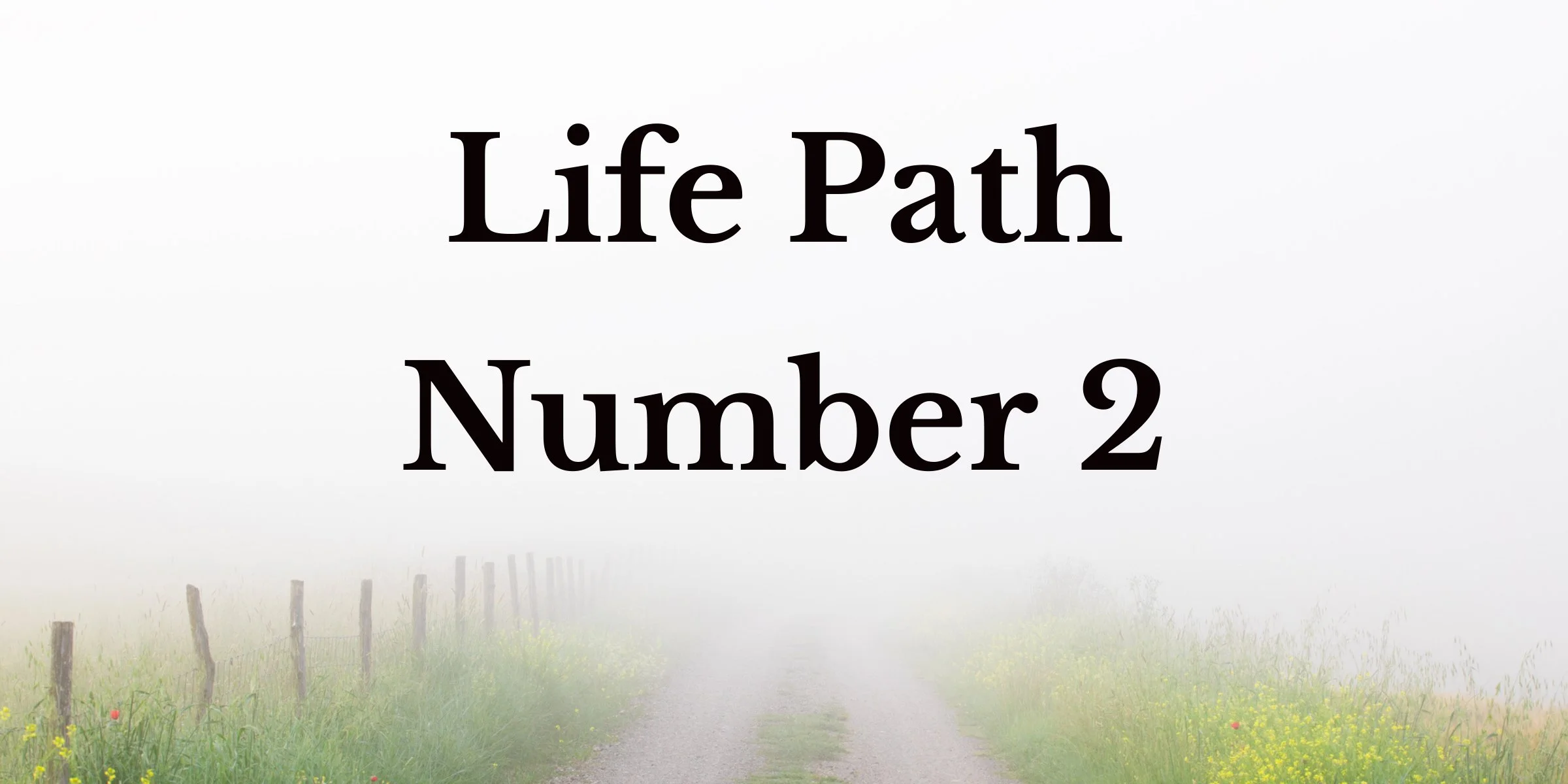 Life Path Number 2: The Sensitive — Truly Divine