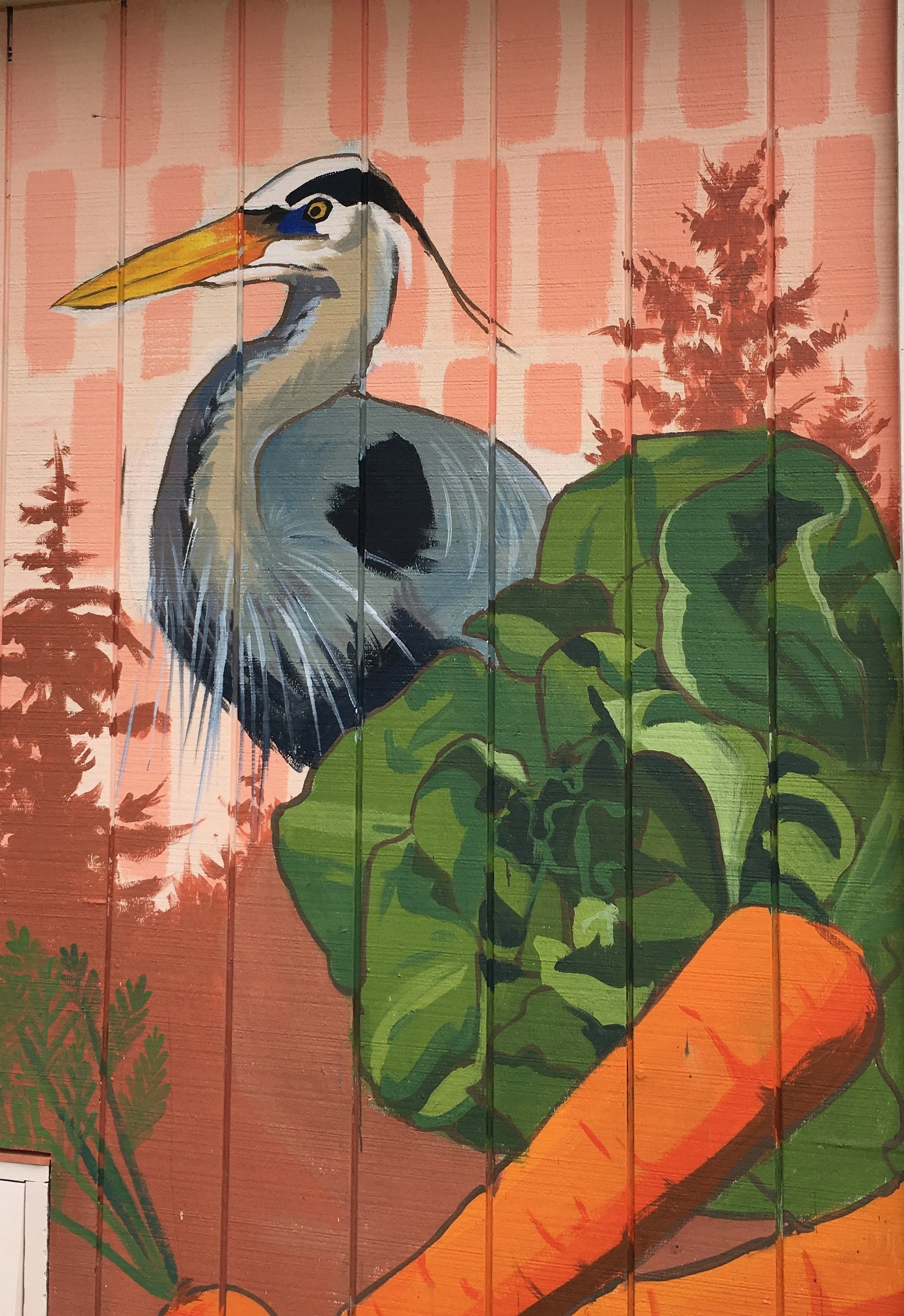 Conner J. Choi 최준