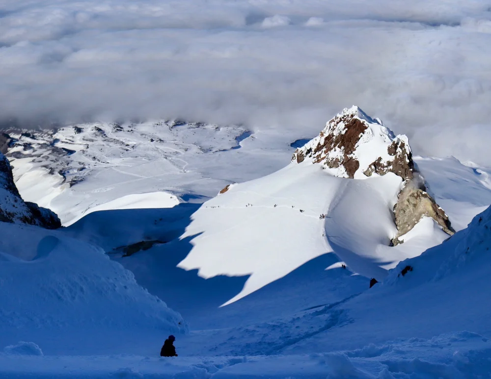 About — Dwayne Sackey