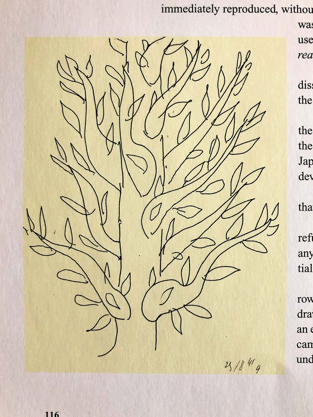 Matisse on Drawing Trees — The Studio Manager