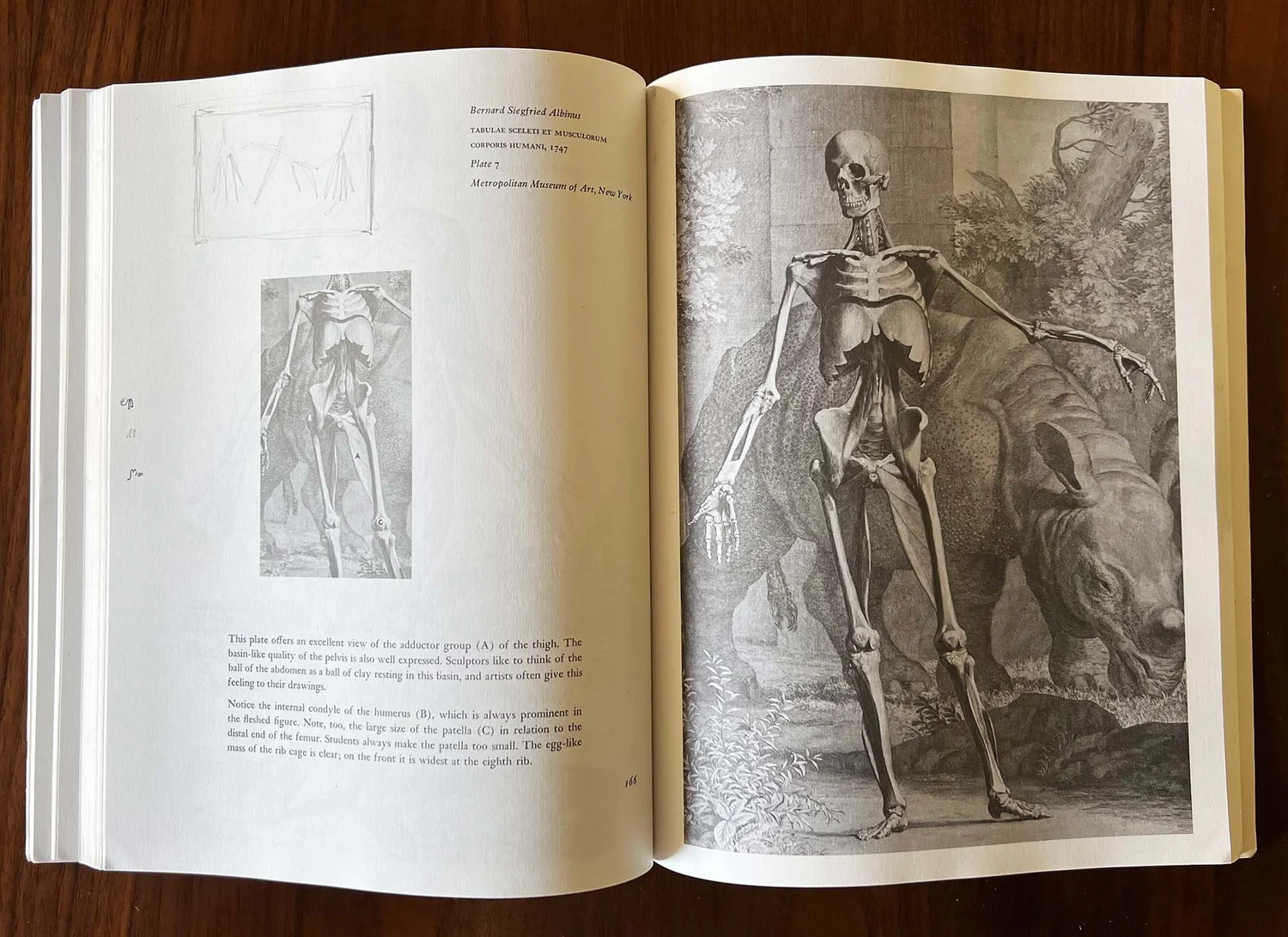 Review: Drawing Lessons from the Great Masters — The Studio Manager