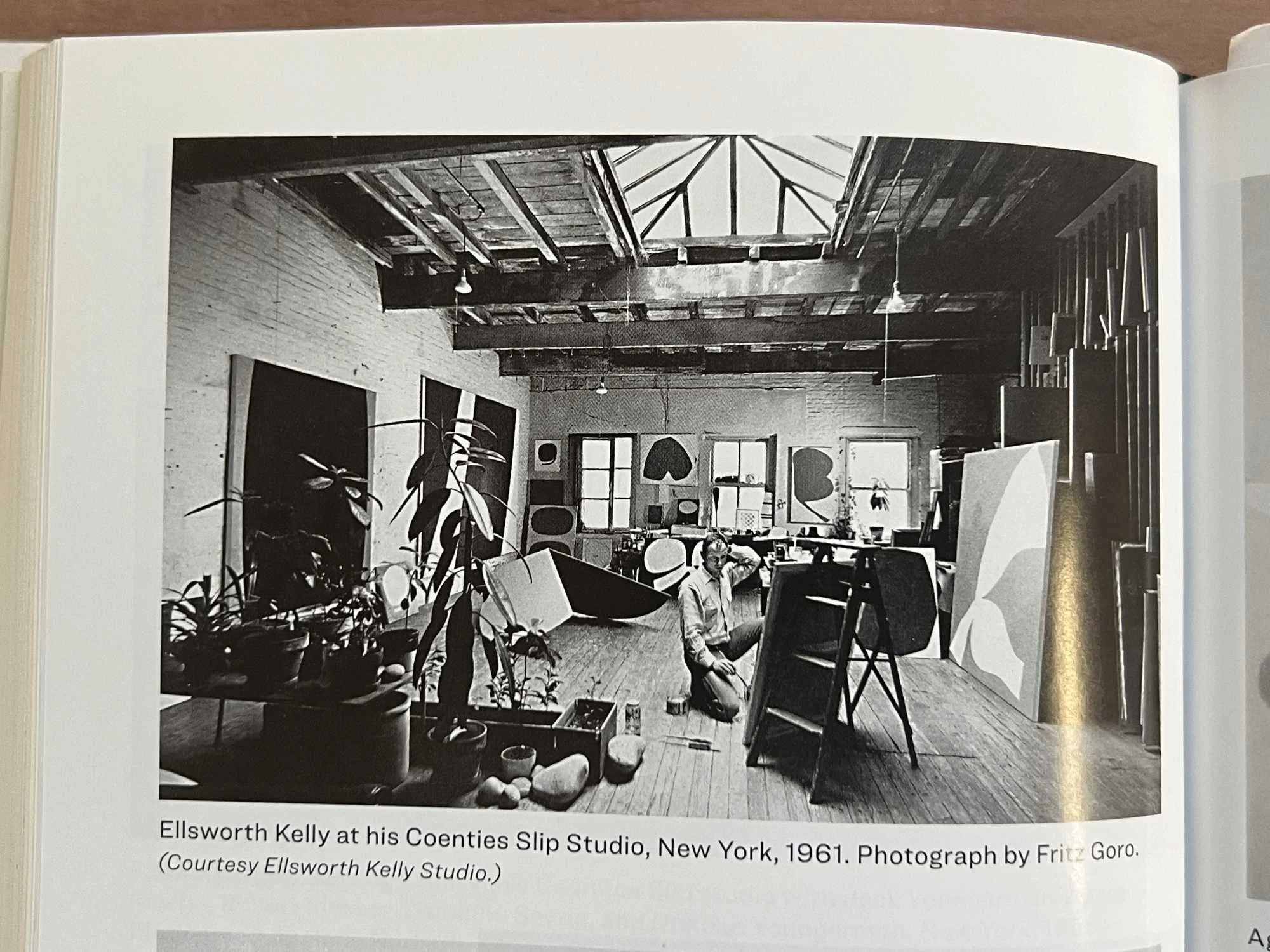 Ellsworth Kelly on Drawing Plants and Nature as “The Ultimate Artist ...