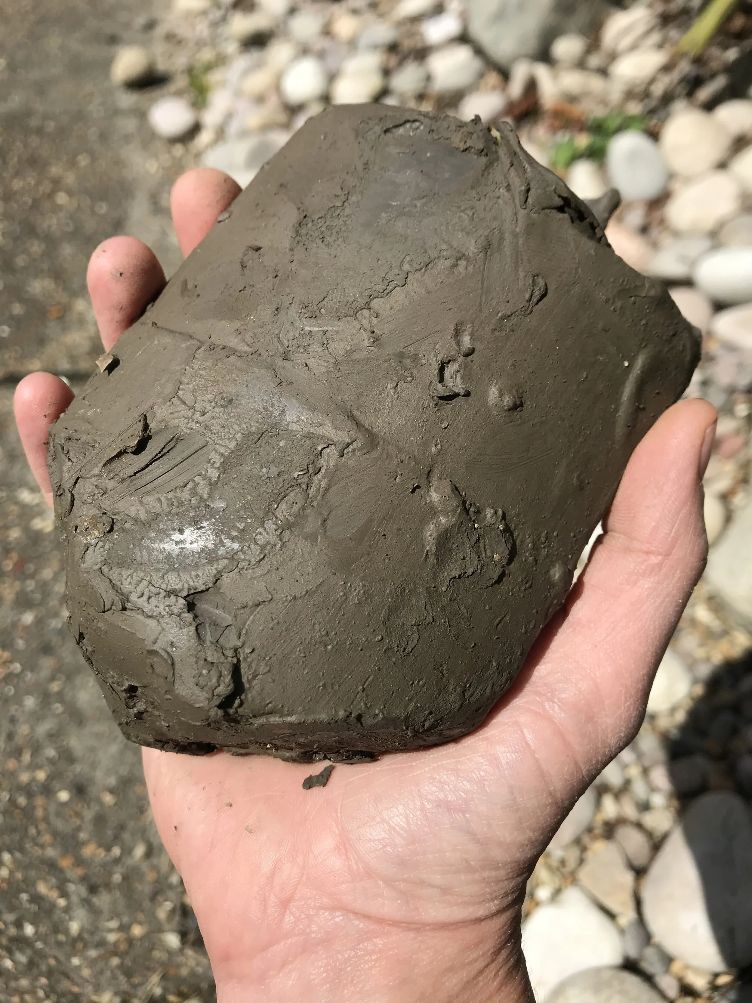 London Clay Project — Maja Quille