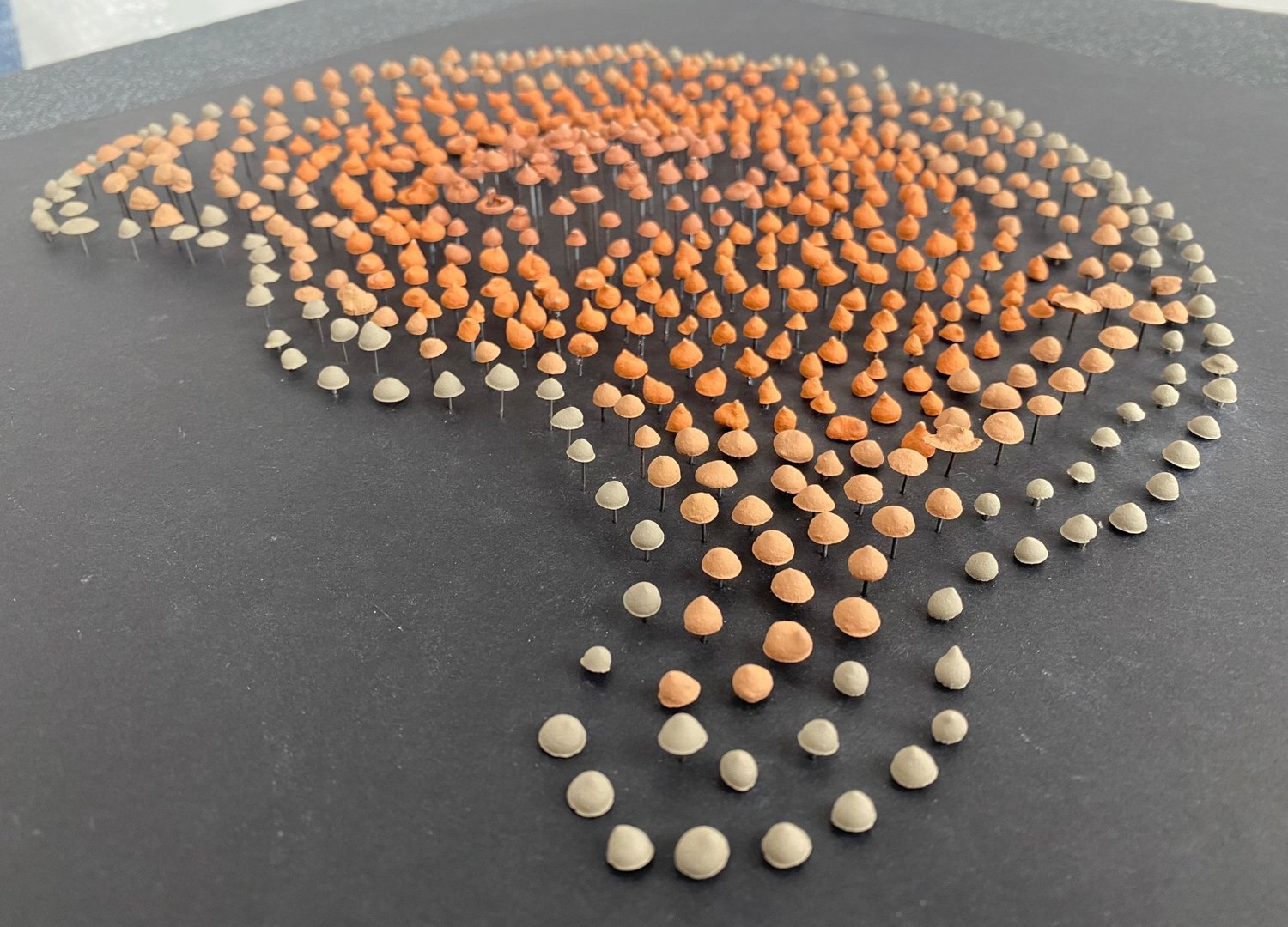 London Clay Project — Maja Quille