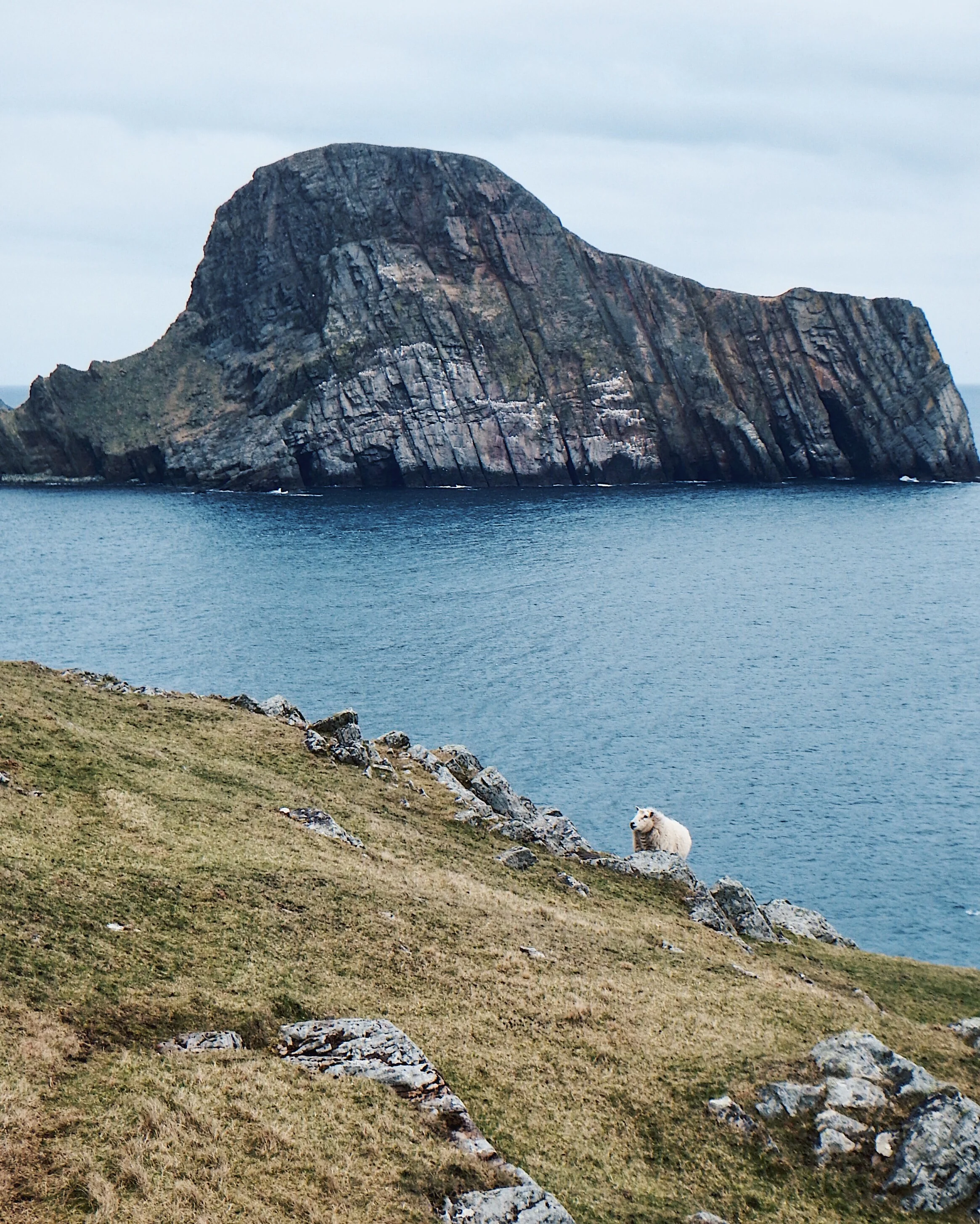 Fair Isle — FAIR ISLE STUDIO