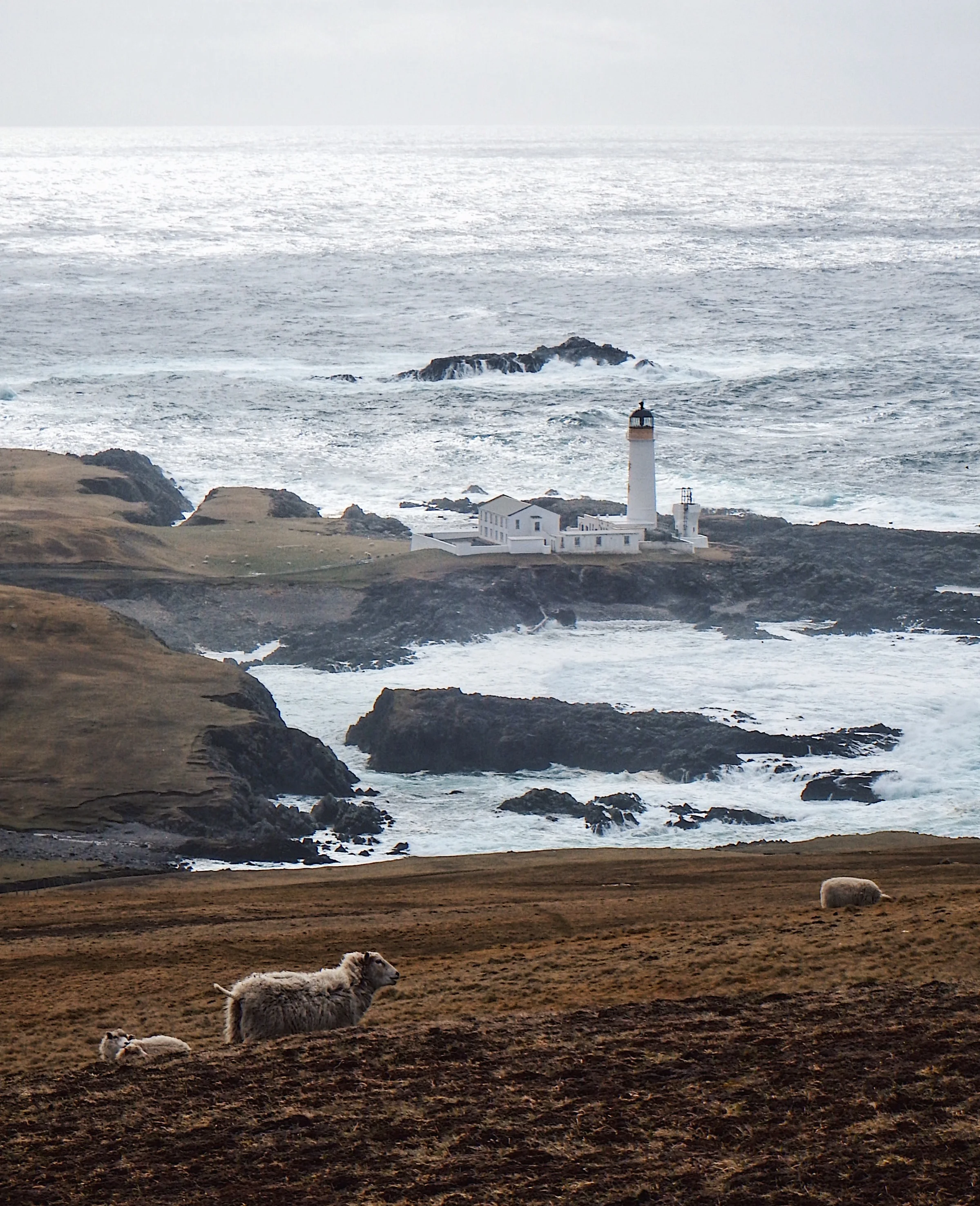 Fair Isle — FAIR ISLE STUDIO