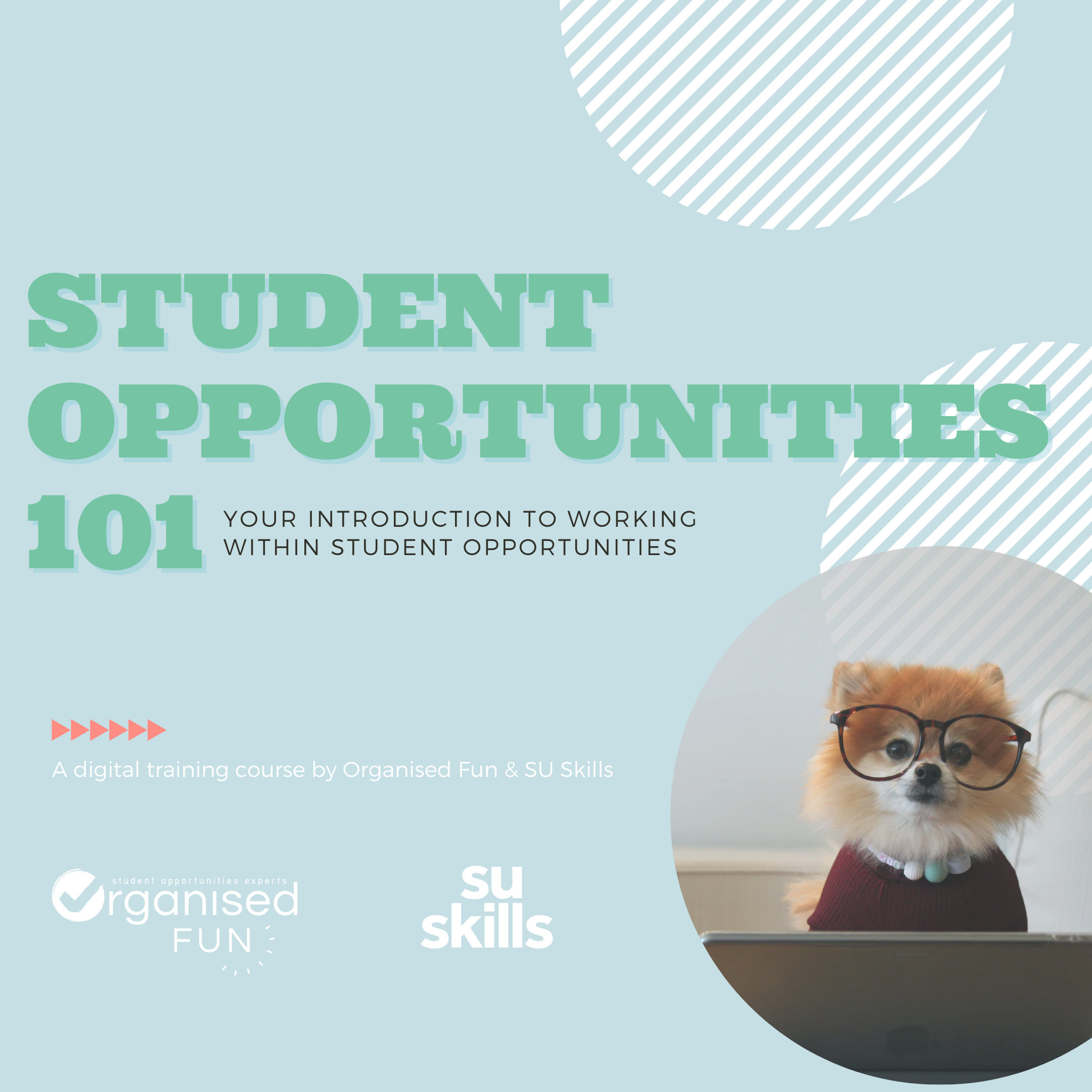 Student Opportunities Digest - the Organised Fun blog — Organised Fun