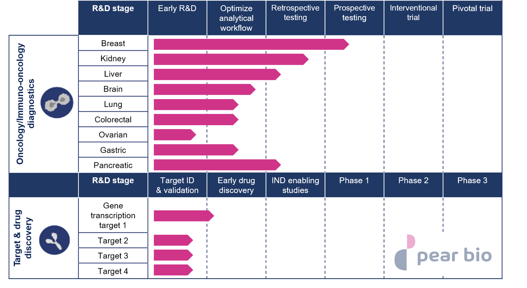 Pipeline — Pear Bio