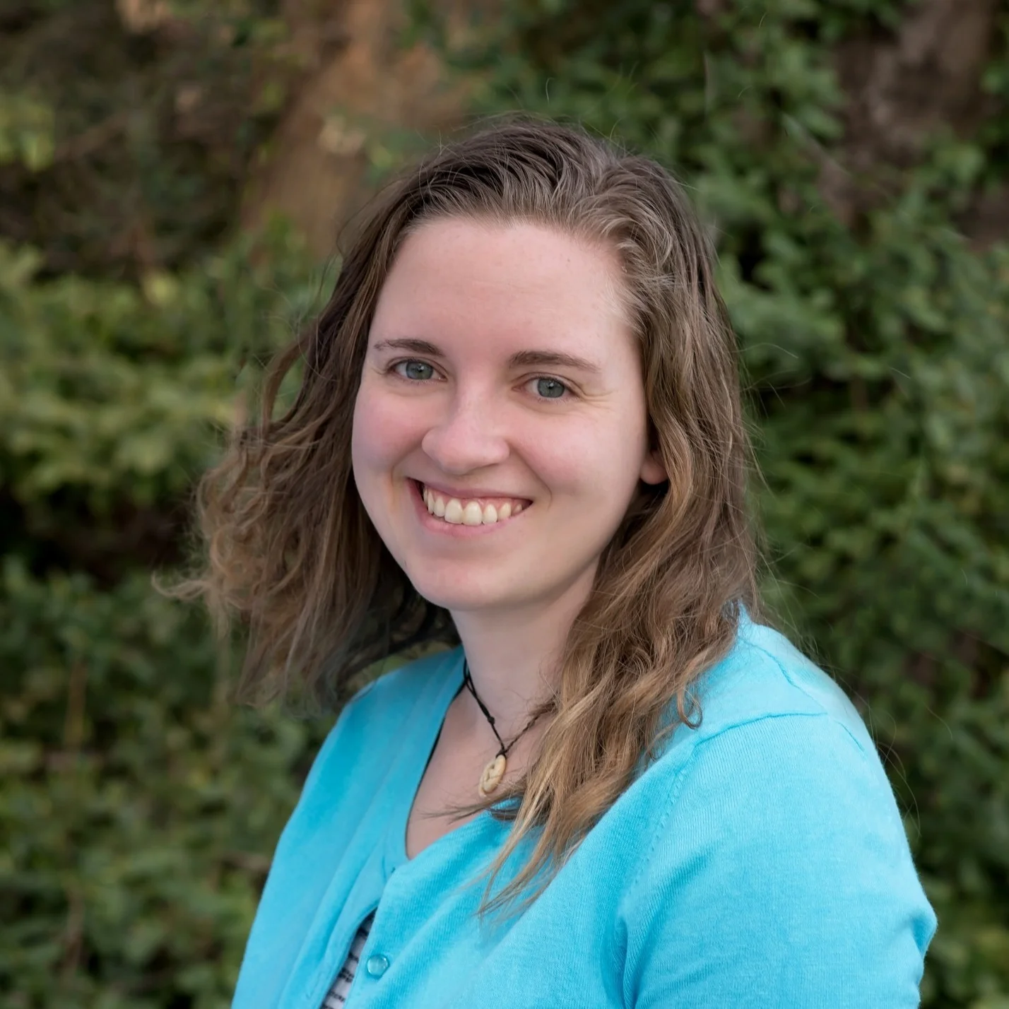 New Page — Summit View