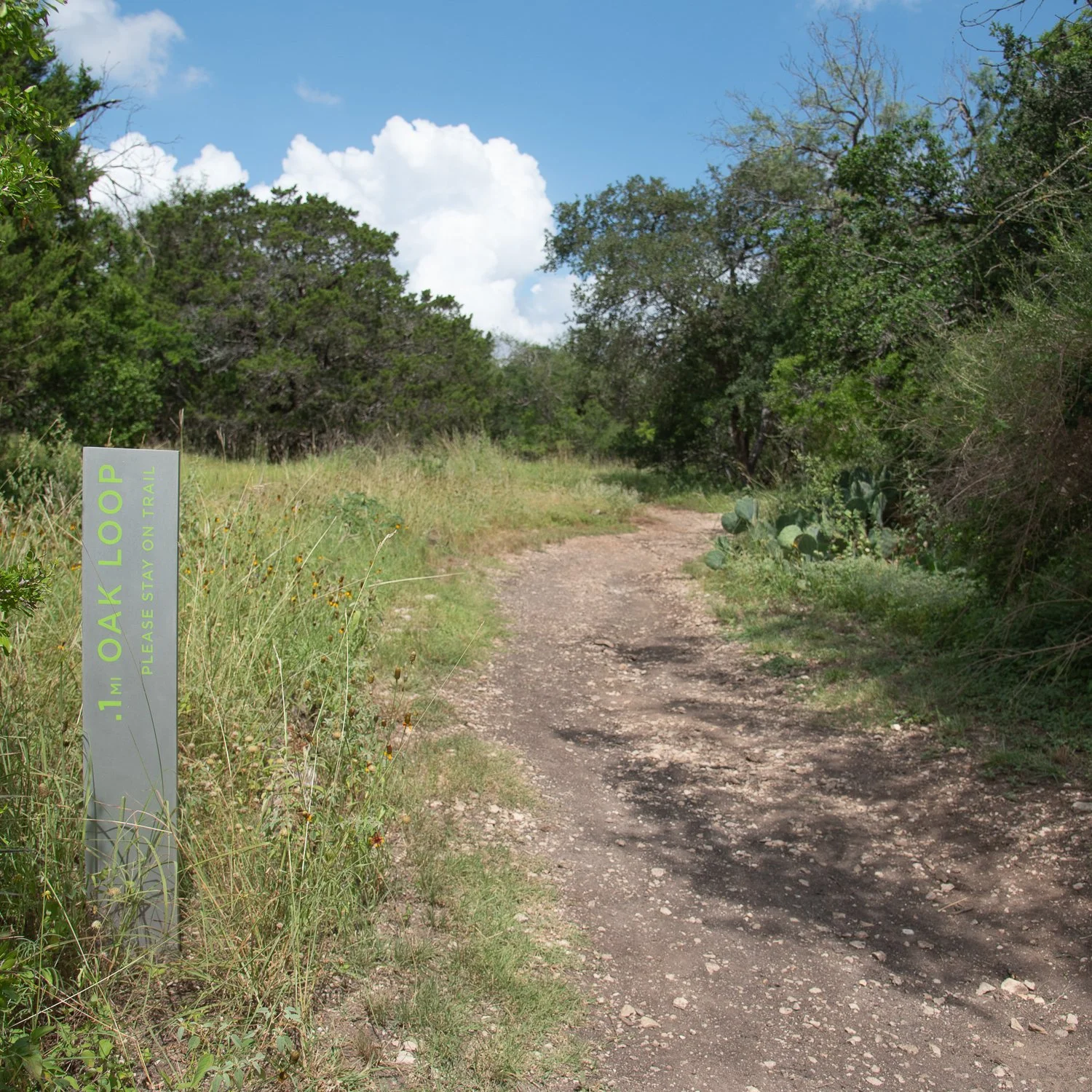 Place Spotlight: Oak Loop Trail — Phil Hardberger Park Conservancy