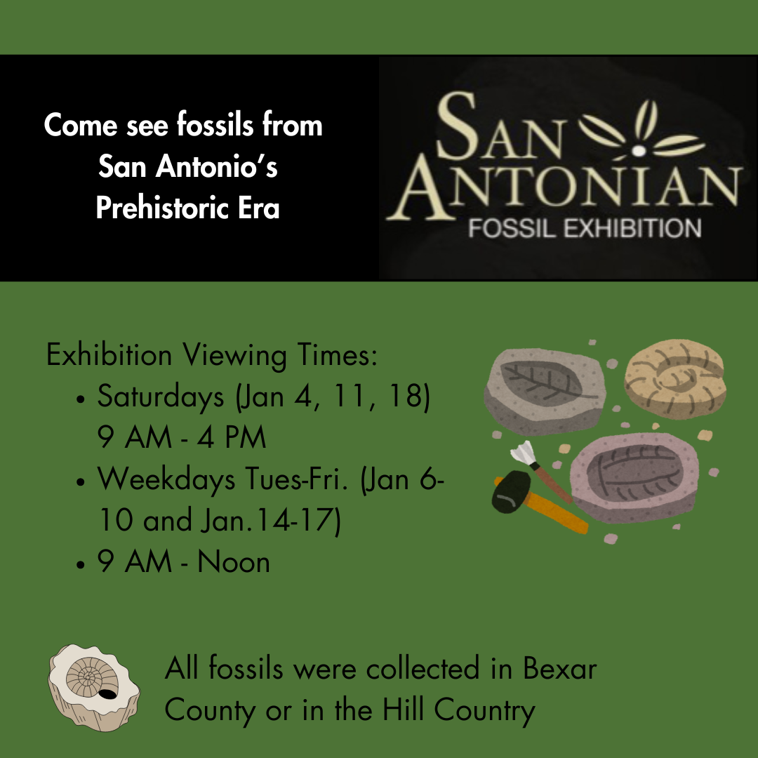 San Antonian Rock & Fossil Collection — Phil Hardberger Park Conservancy