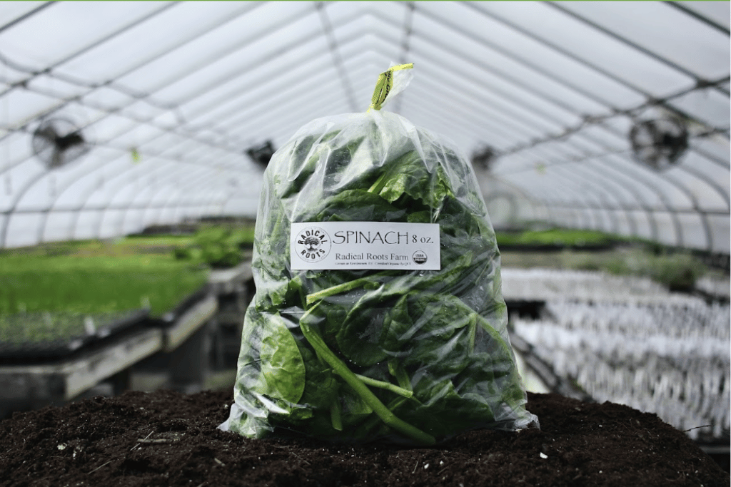 Radical Roots Community Farm