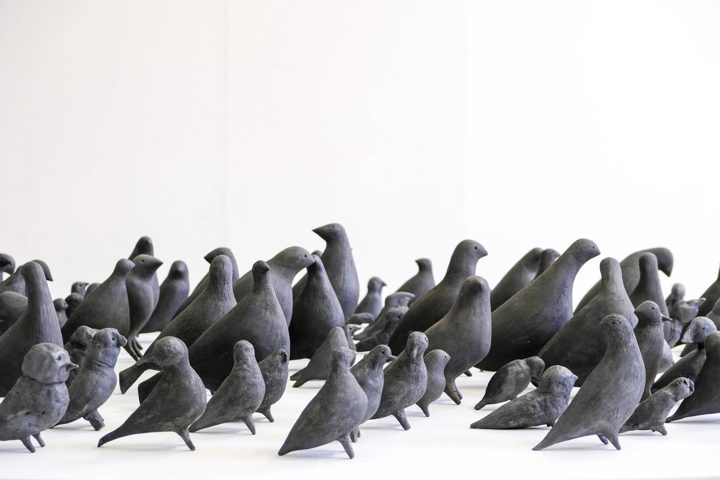Flock exhibition — FLOCK PROJECT
