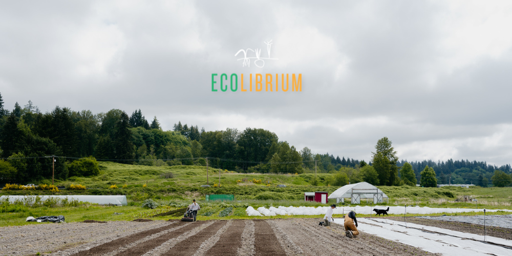 SOURCING — HAP'S Burgers & Taps