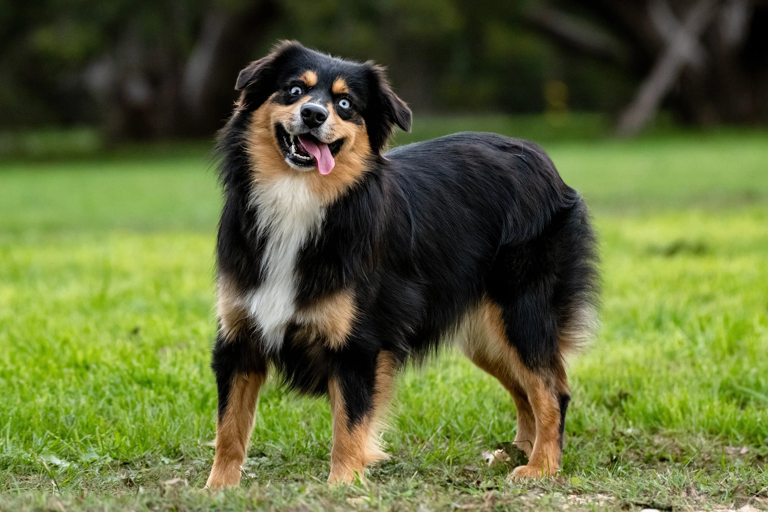 Our Girls — Raising Star Ranch